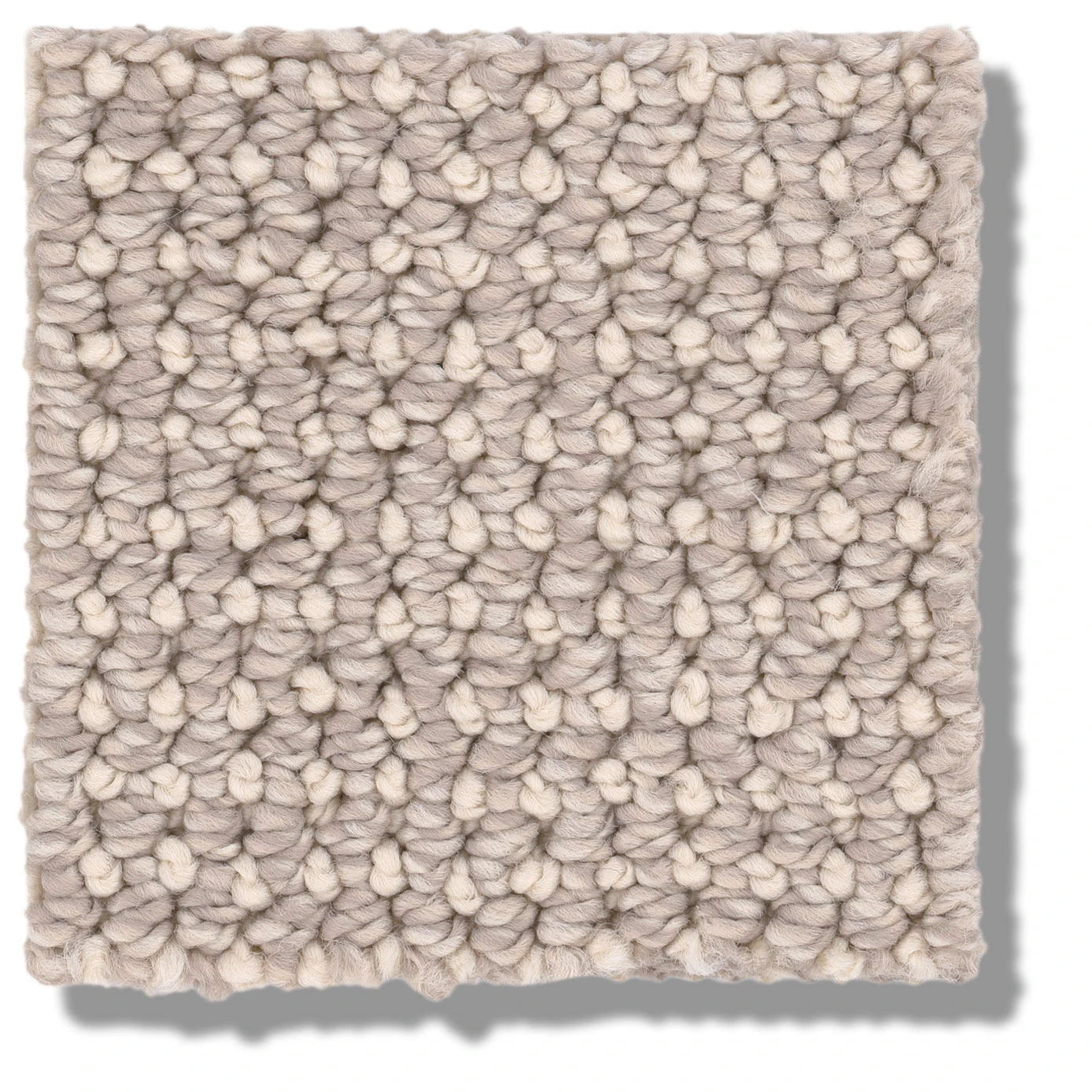 Purrfection - Carpet for Stairs in Champagne | AndersonTuftex