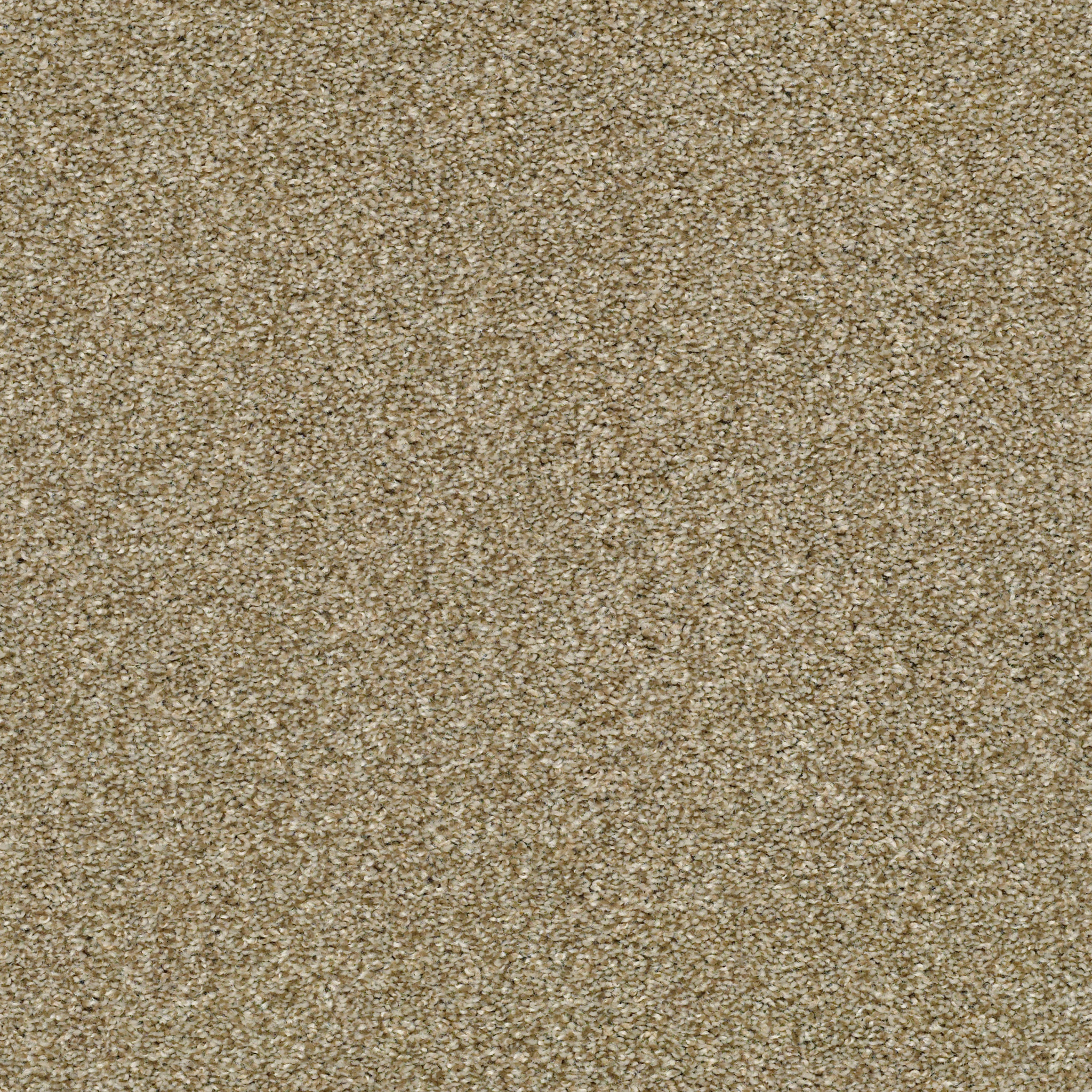 harmony_ridge - ice | carpets | hgr02-00520 | Shaw Builder Flooring