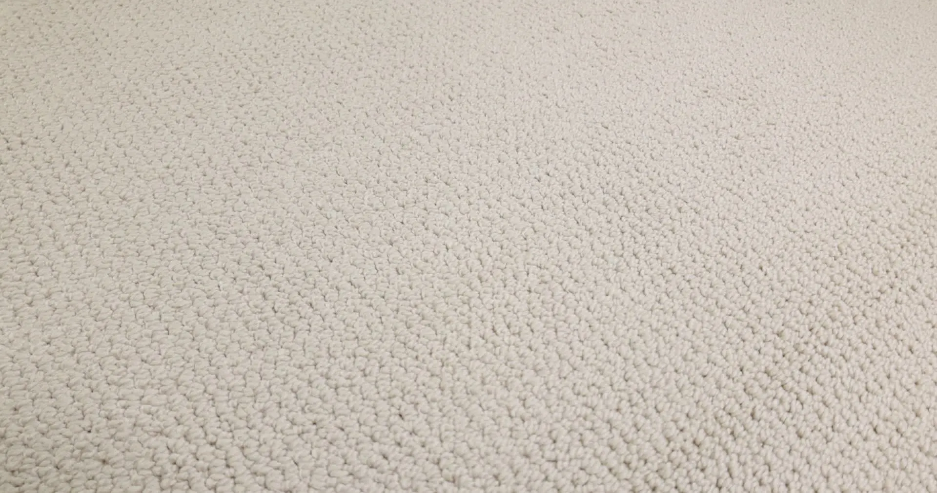 Purrfection - 100% ANSO® High Performance Nylon in Olympic | AndersonTuftex