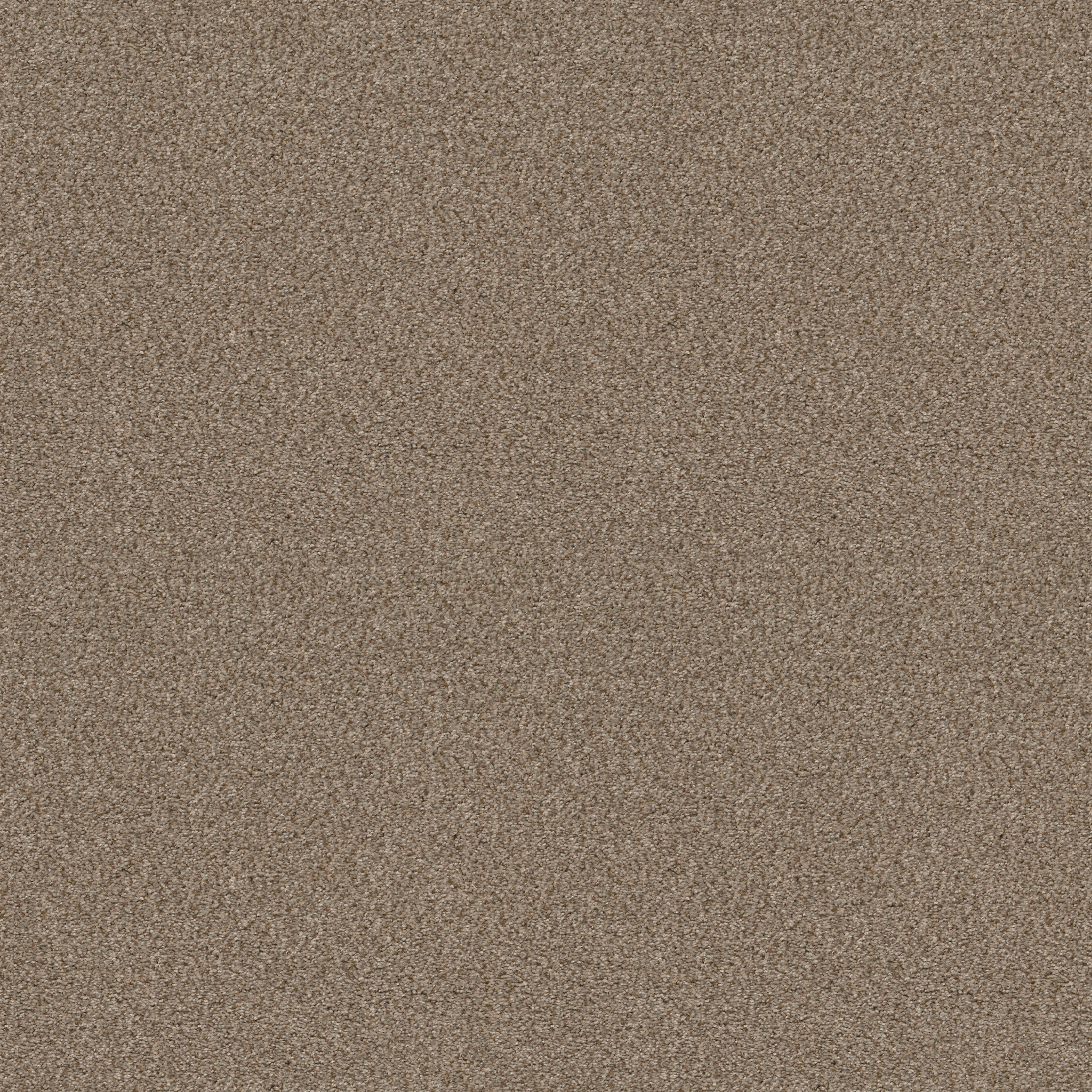 harmony_ridge - ice | carpets | hgr02-00520 | Shaw Builder Flooring