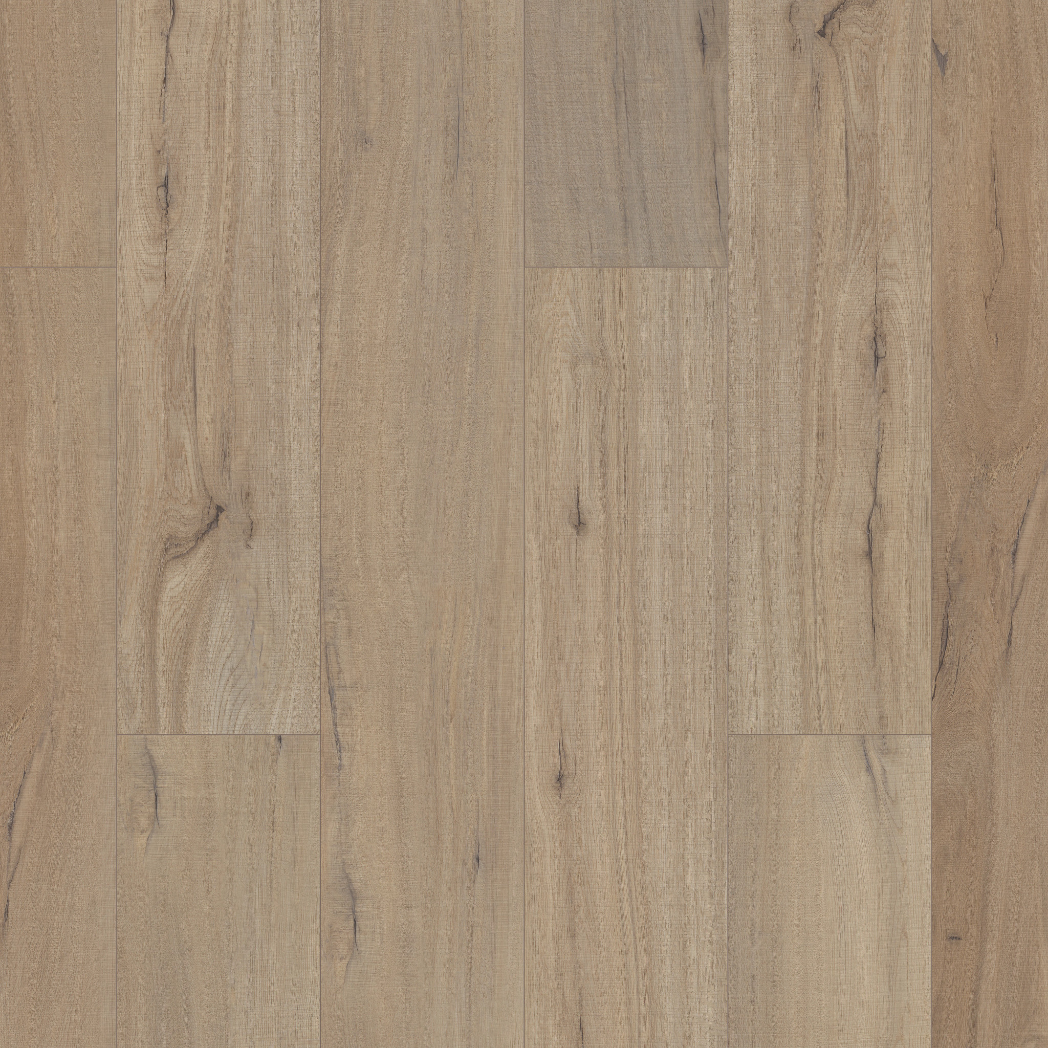 polaris plus - lighthouse | resilient | VE433-05091 | Shaw Builder Flooring