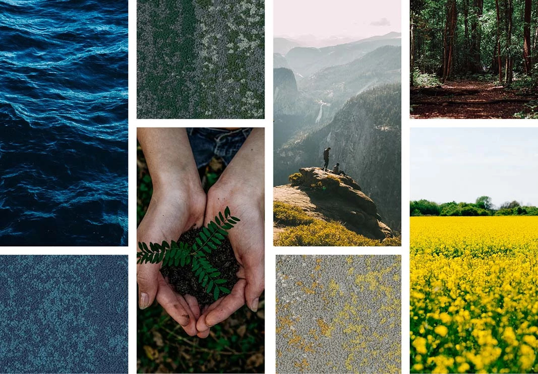 Board | trend/PEOPLE TOGETHER, PLANET FOREVER | ShawContract