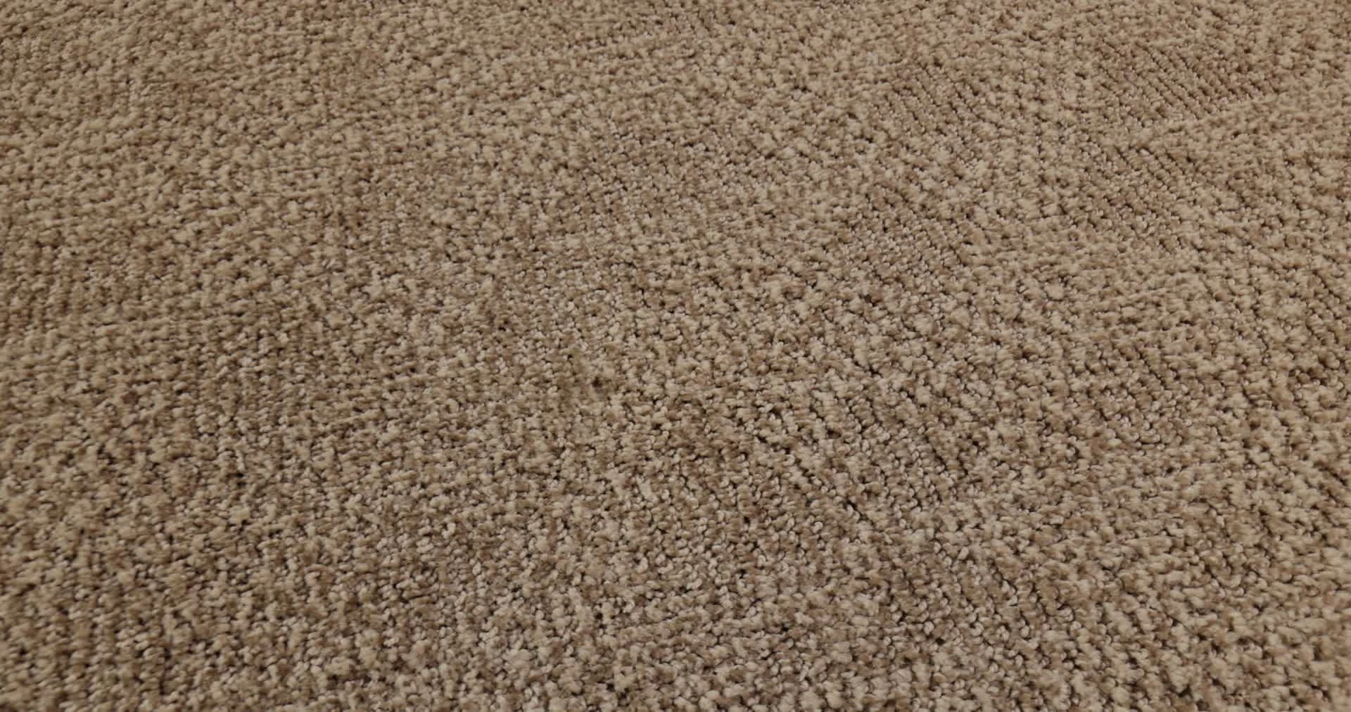 Ario - Carpet & Rugs in Twilight Gold | AndersonTuftex