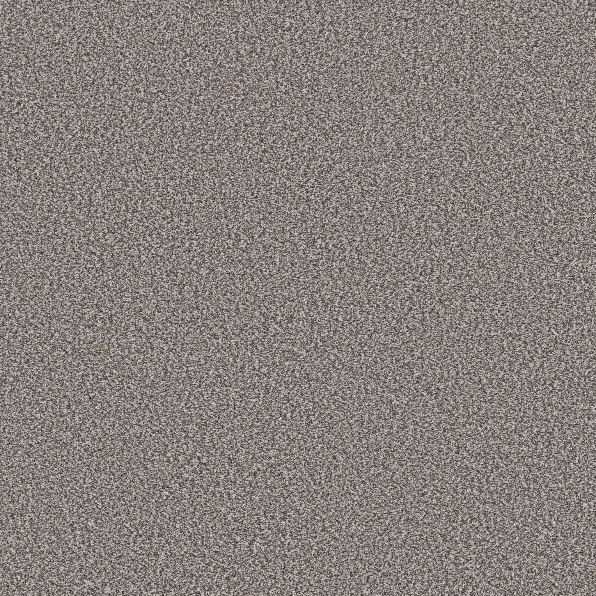 Search Results | Shaw Floors