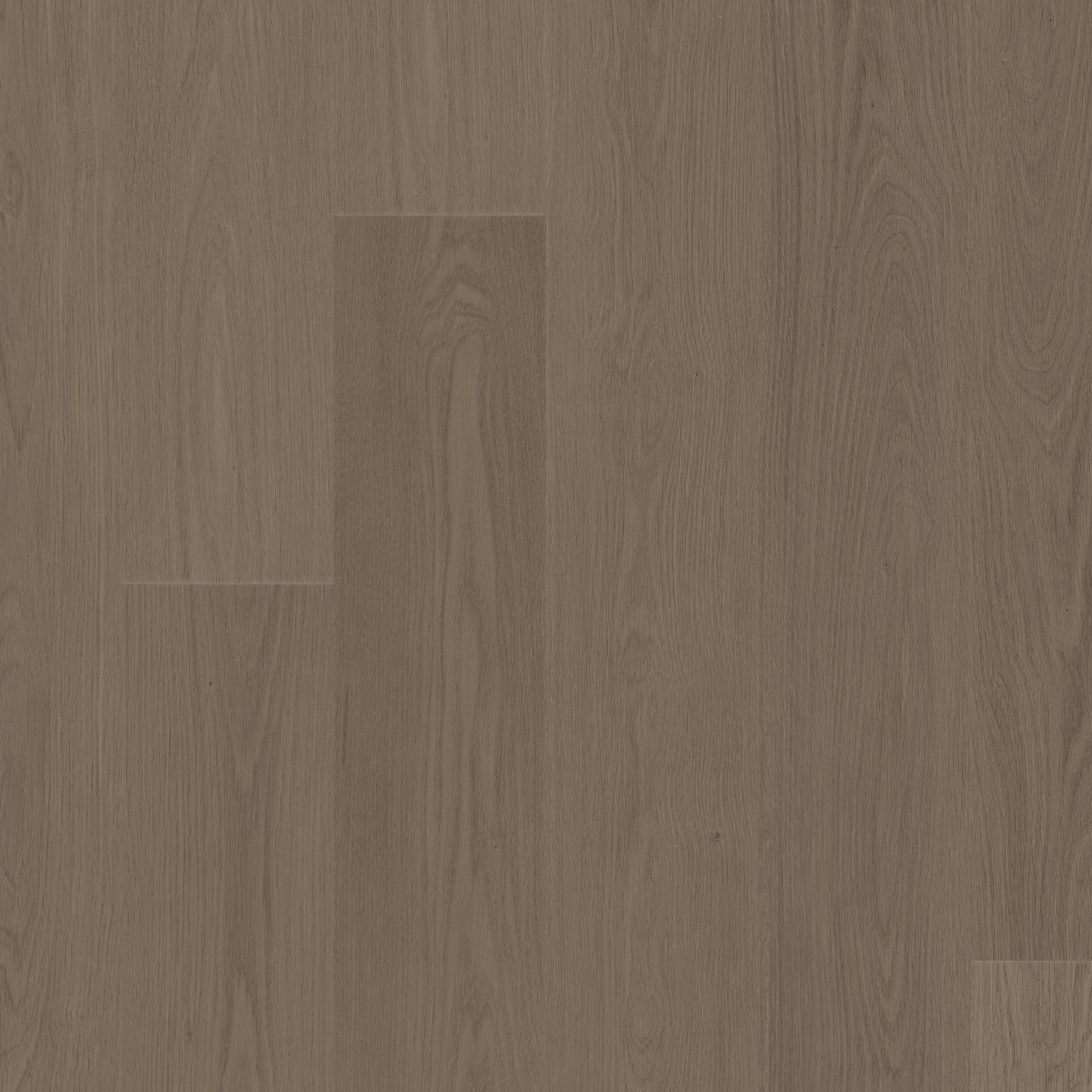 COREtec Blog: 3 Design Trends to Look for in 2024