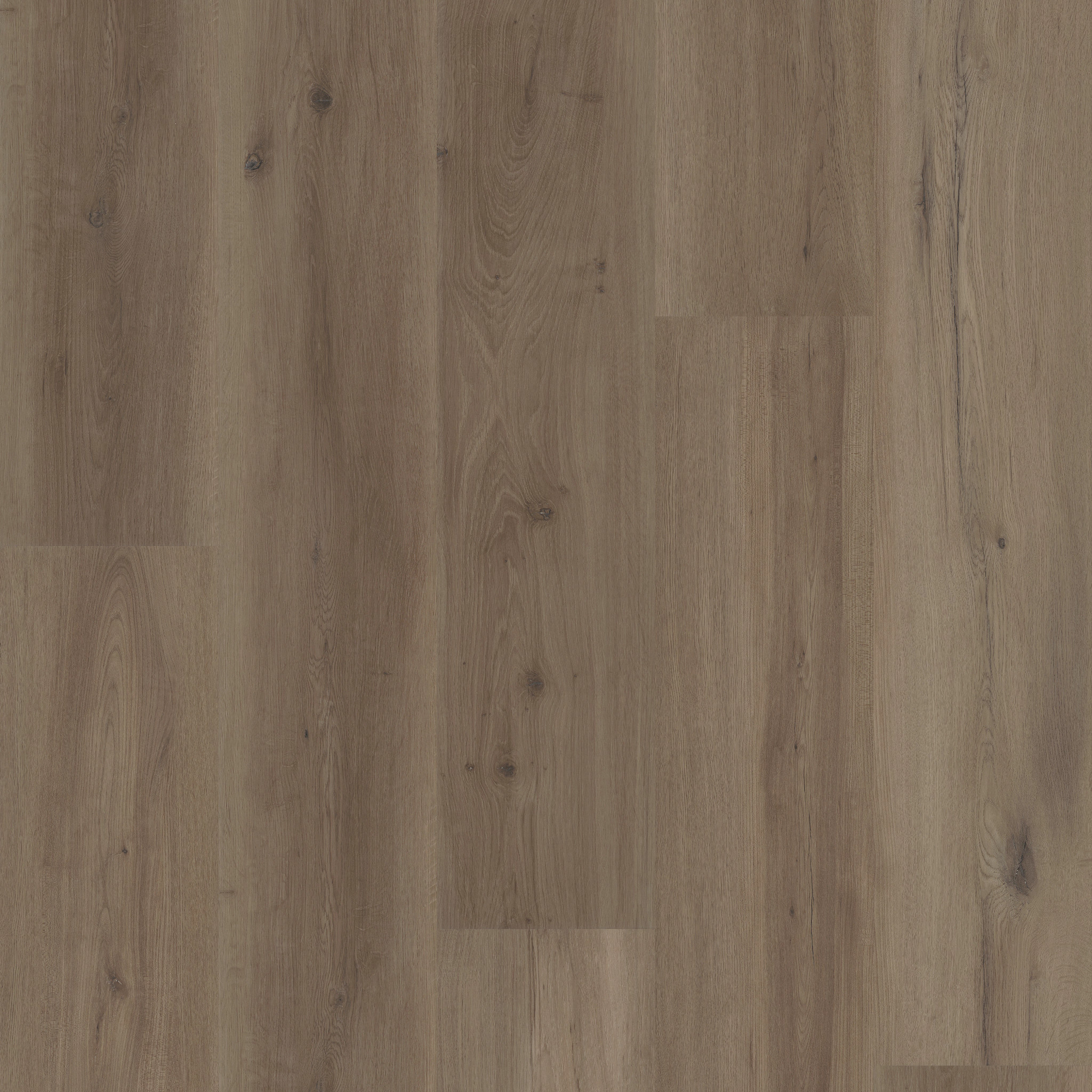 temporal - sea salt oak | resilient | 705CT_05028 | Shaw Builder Flooring
