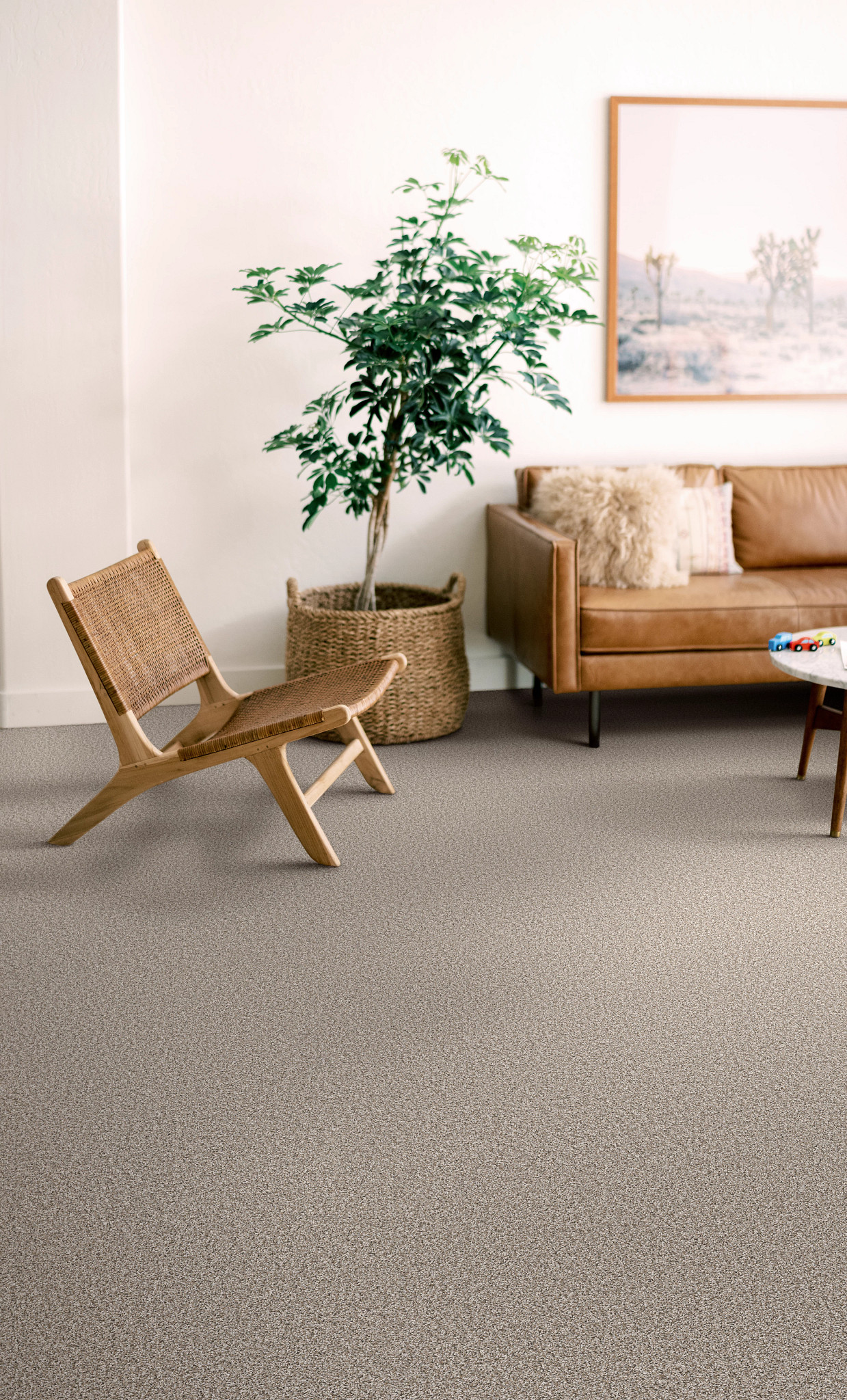 Innovations - Carpet - Eclipse High Performance Fiber | Shaw Property ...