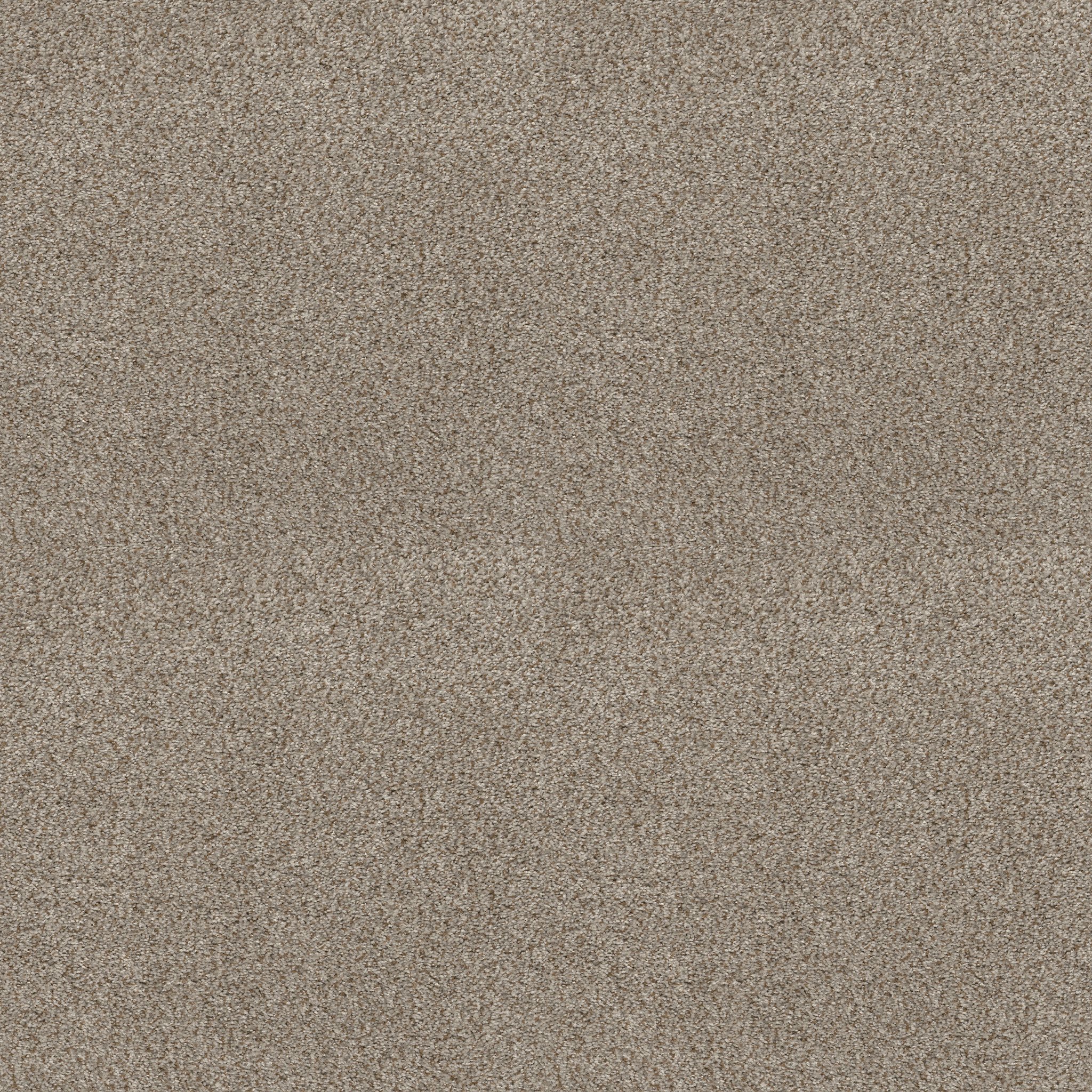 harmony_ridge - ice | carpets | hgr02-00520 | Shaw Builder Flooring