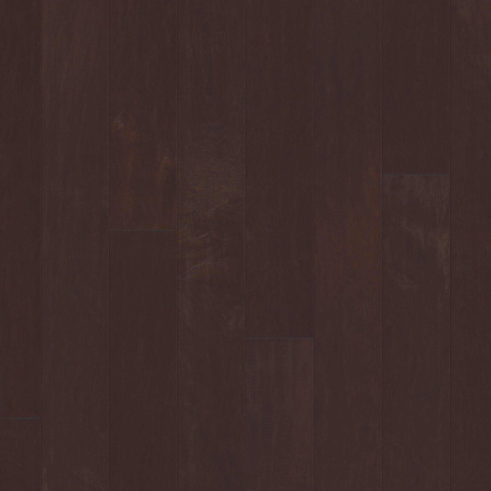 Coral Springs - in color Conway | Shaw Floors