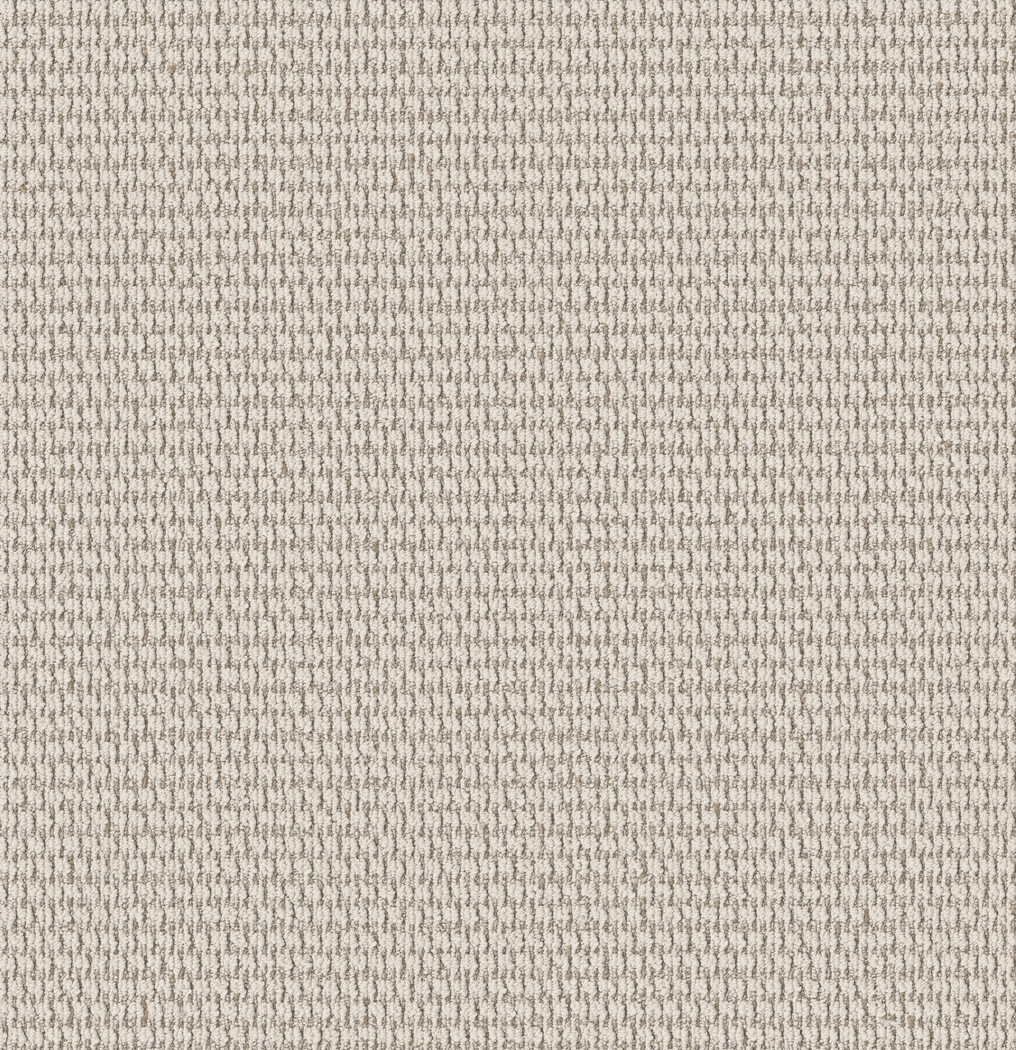 Cozy Embrace - Wool Blanket Carpet | Shaw Floors