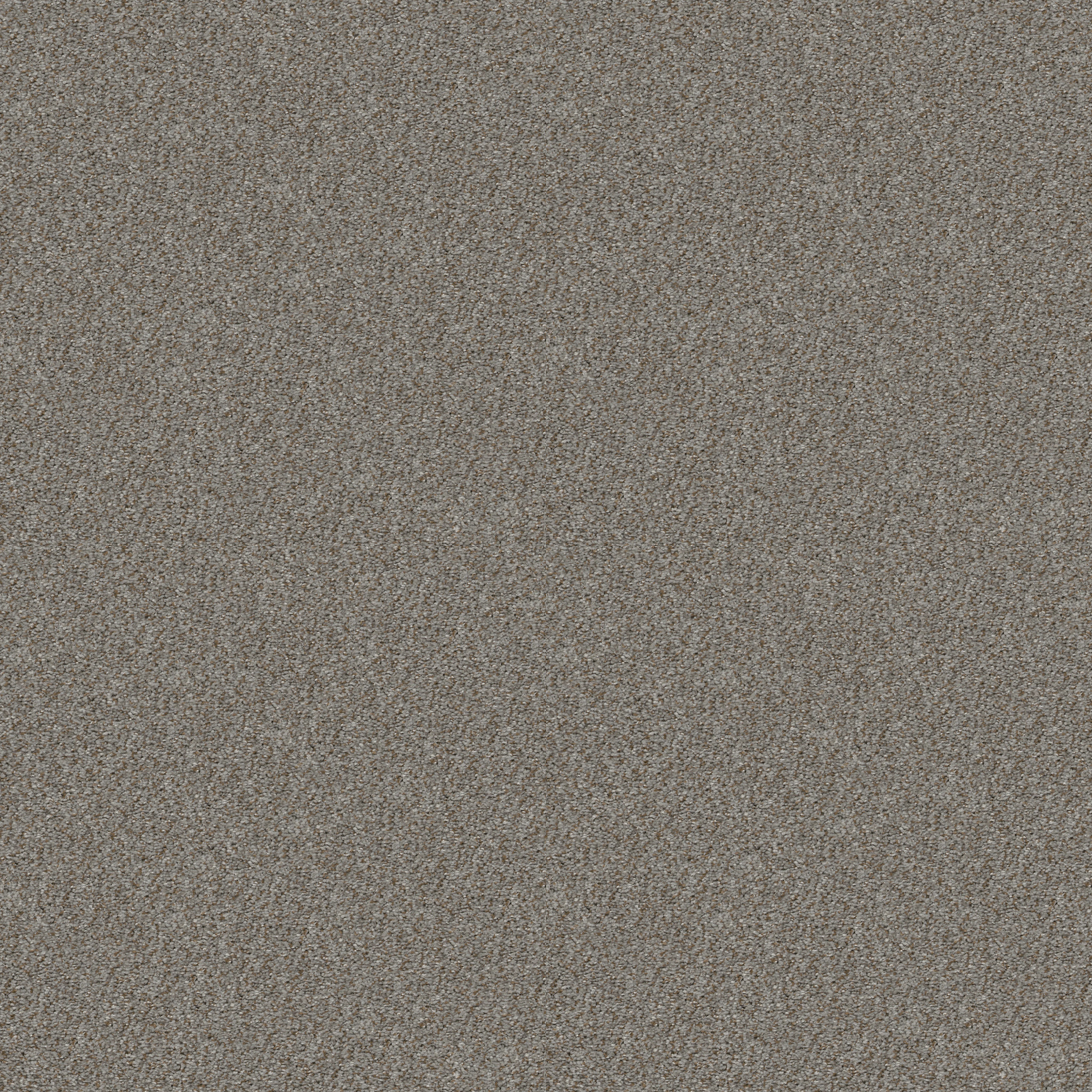 harmony_ridge - ice | carpets | hgr02-00520 | Shaw Builder Flooring