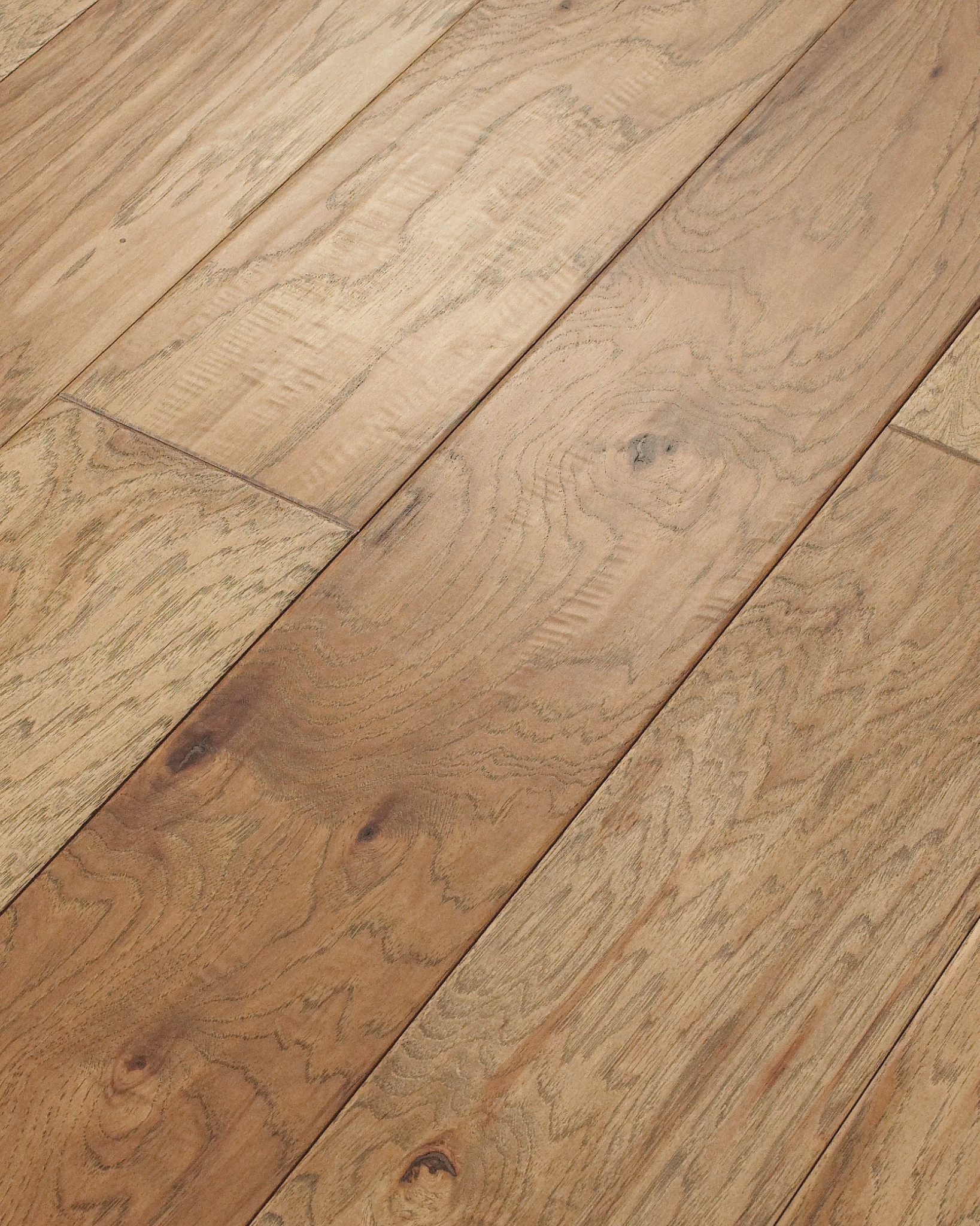 Search Results | Shaw Floors