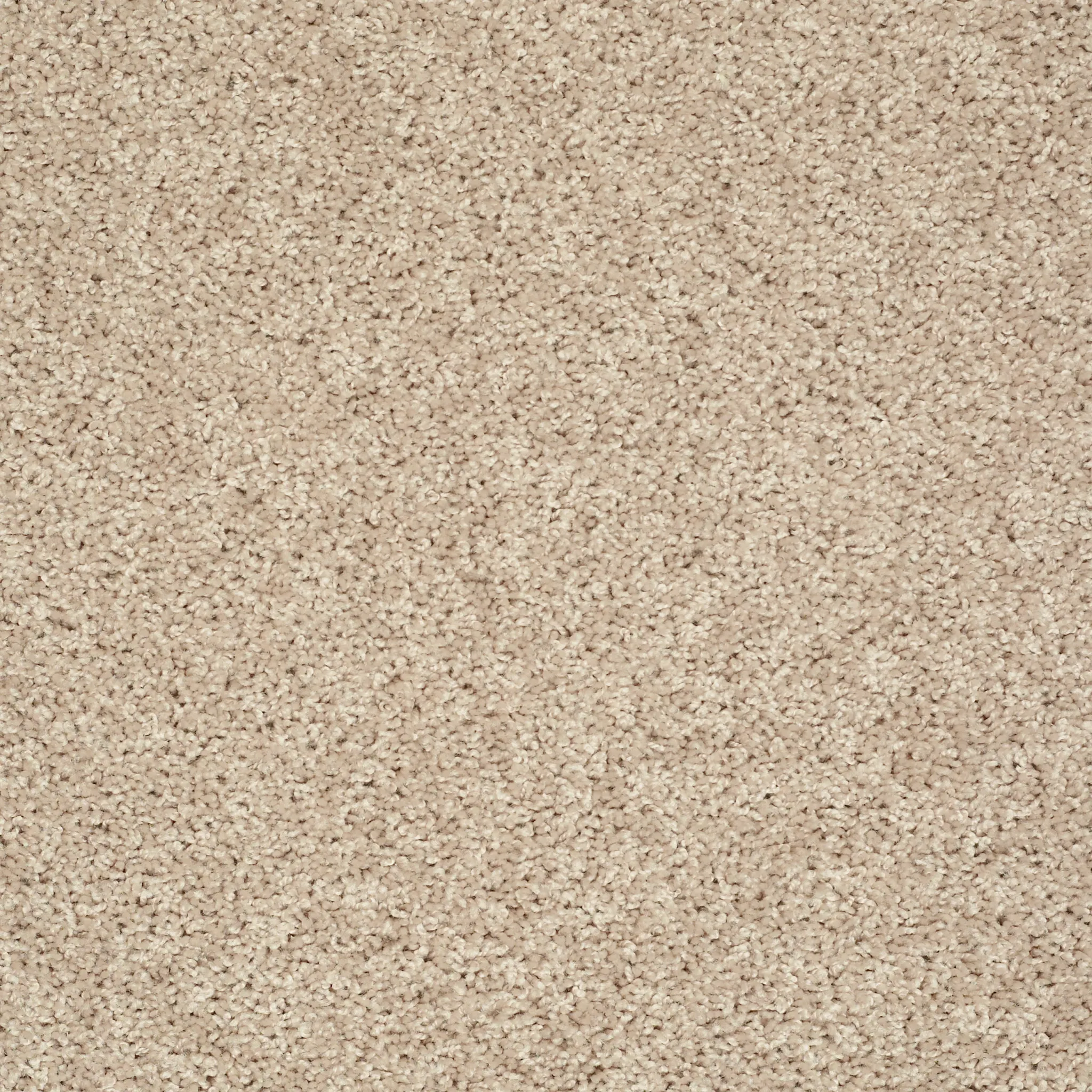 Break Away - Solid - Gentle Breeze Carpet | Shaw Floors