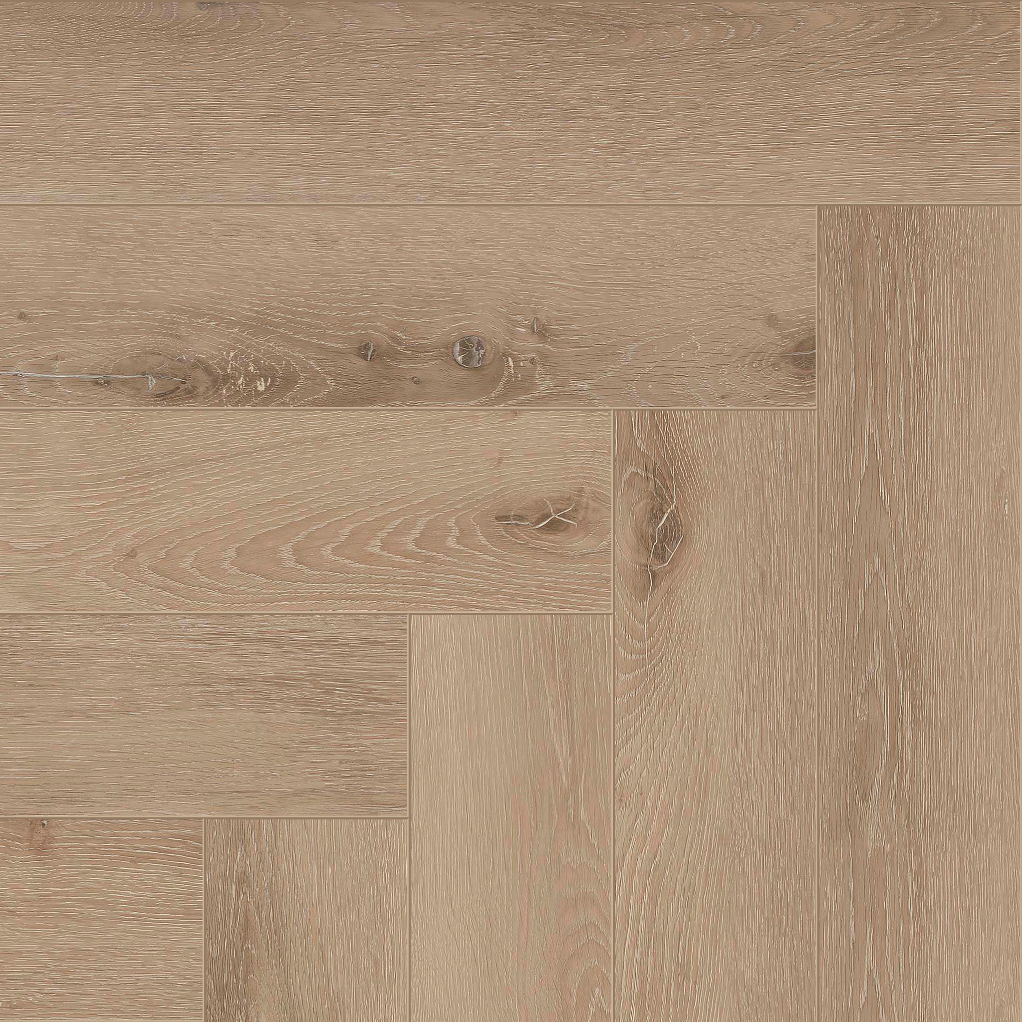 Découvrez nos collections