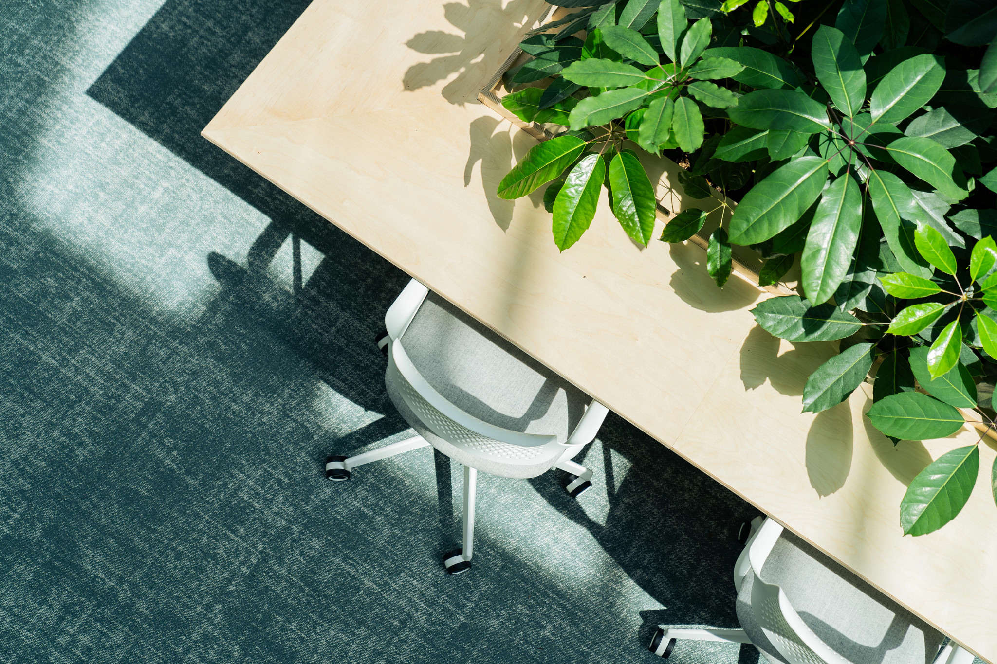 Stirling House - Cambridge UK | ShawContract