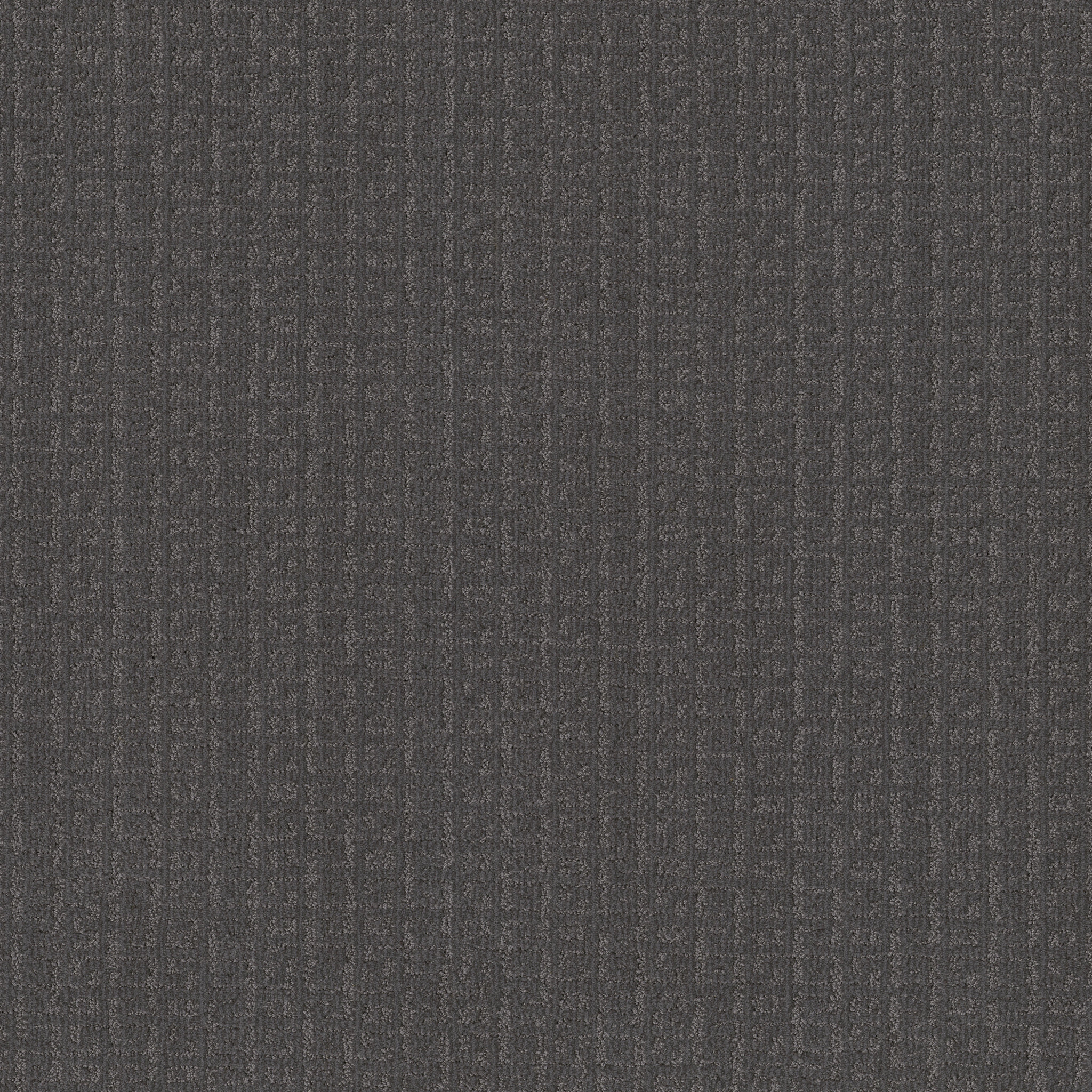 Vignette - 100% ANSO® High Performance Nylon in Legendary | AndersonTuftex