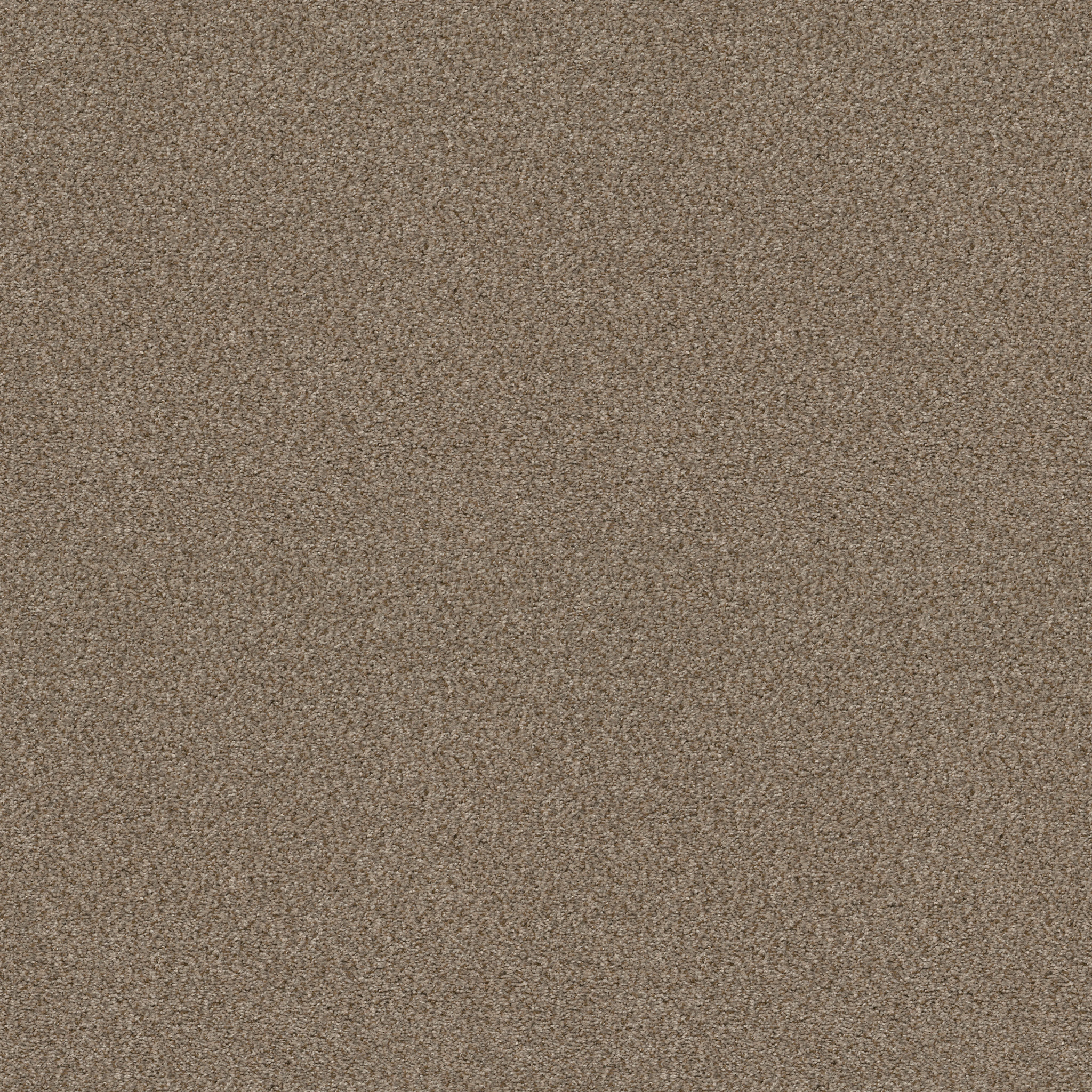 harmony_ridge - ice | carpets | hgr02-00520 | Shaw Builder Flooring