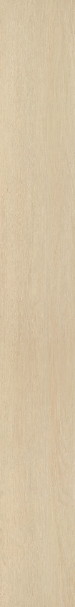 Champagne Mist Oak LVP Flooring | COREtec