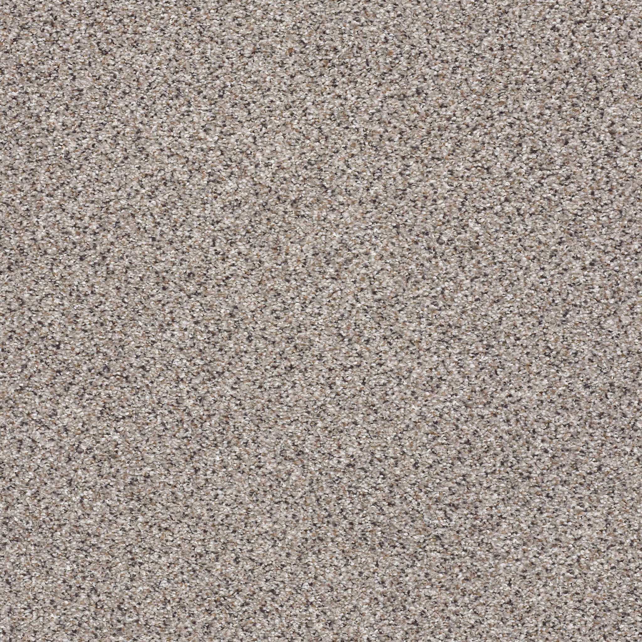 Take The Floor Accent Ii - Cold Springs Carpet | Shaw Floors