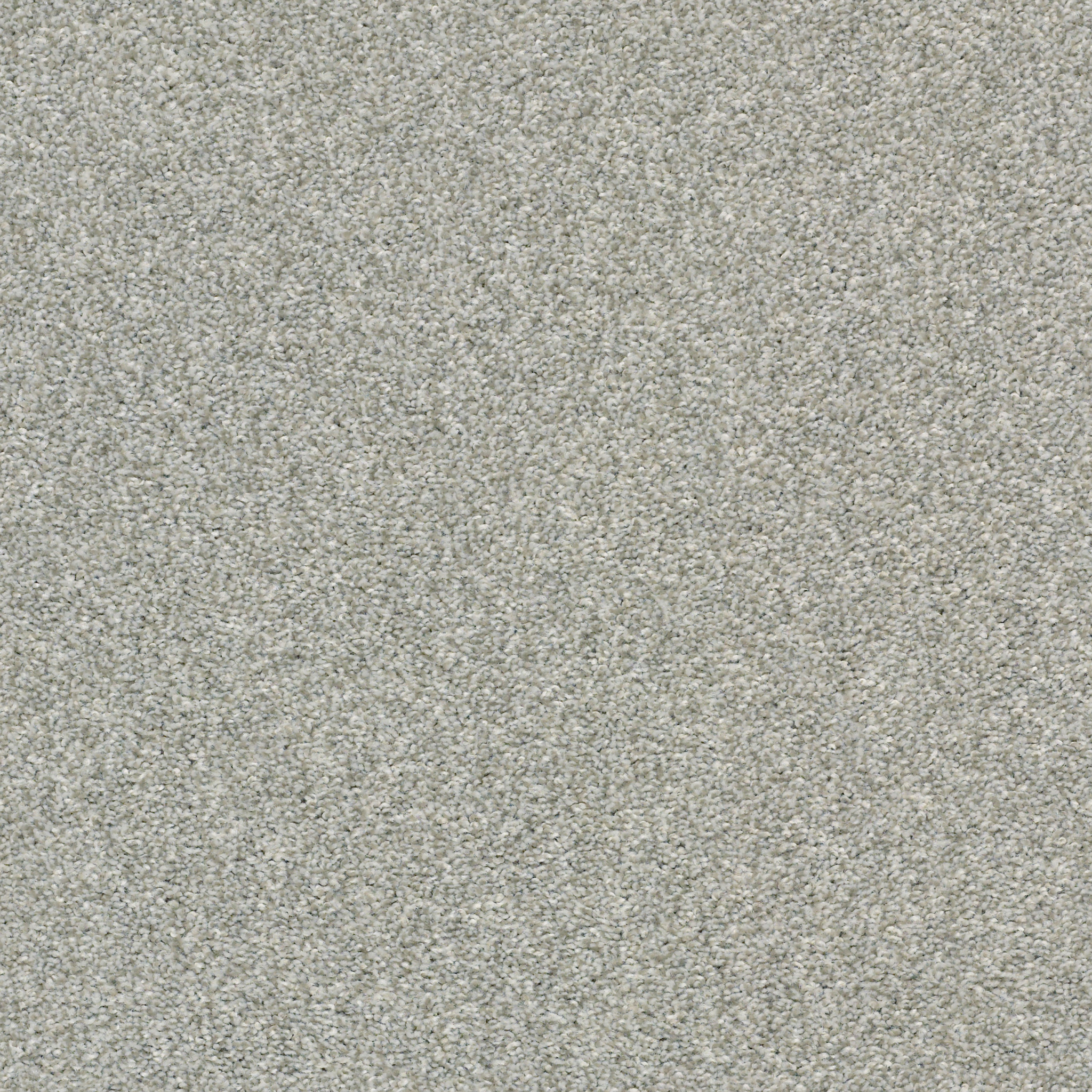 Cabana Life Ecru Carpet Deals | www.changeyourwindows.com