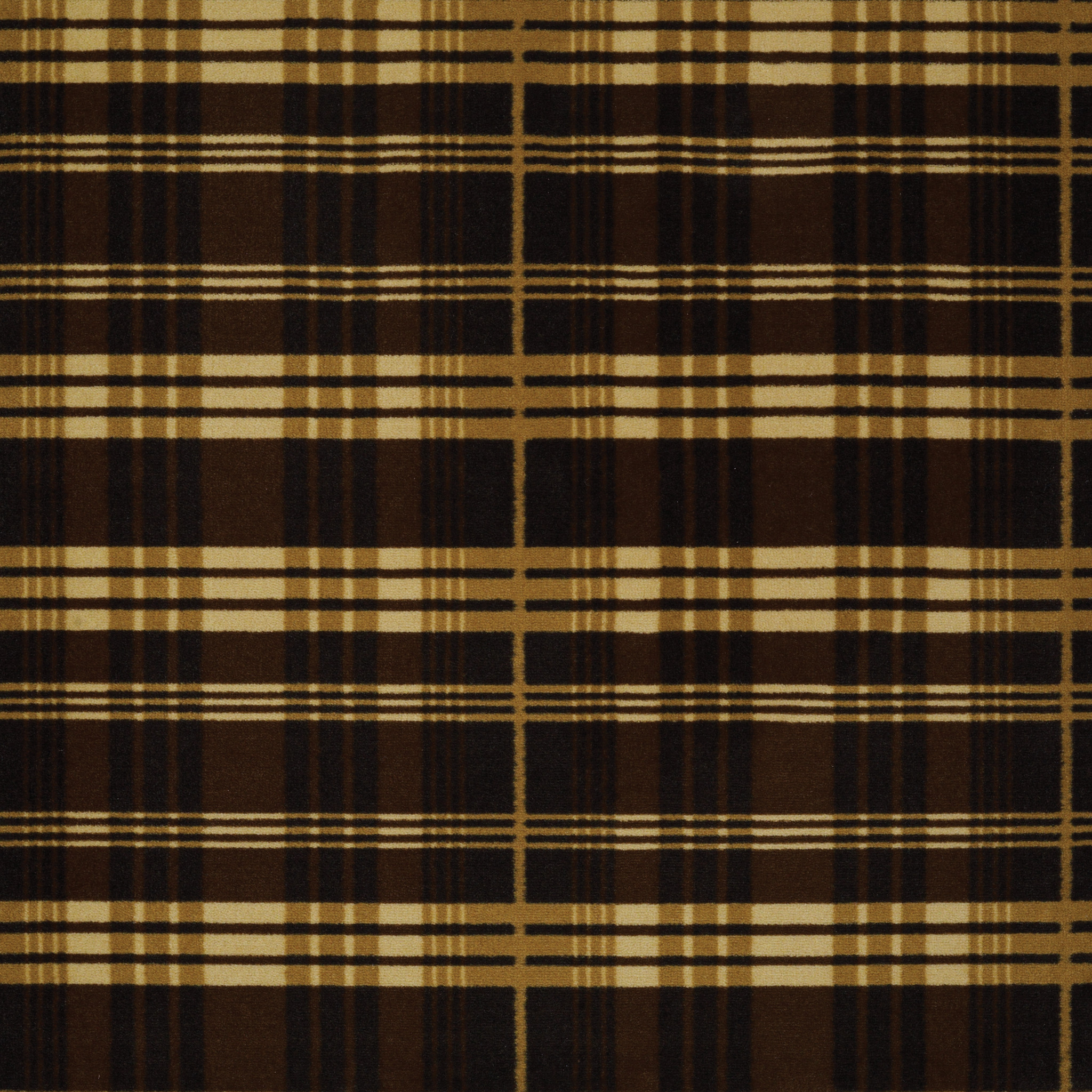 Cozy Escape (54517) Carpet | Philadelphia Commercial