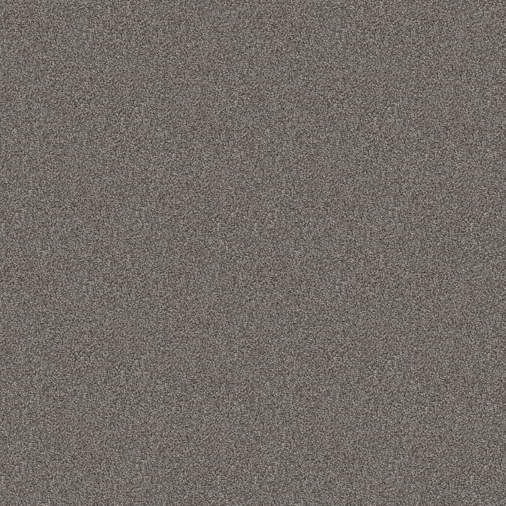 Search Results | Shaw Floors