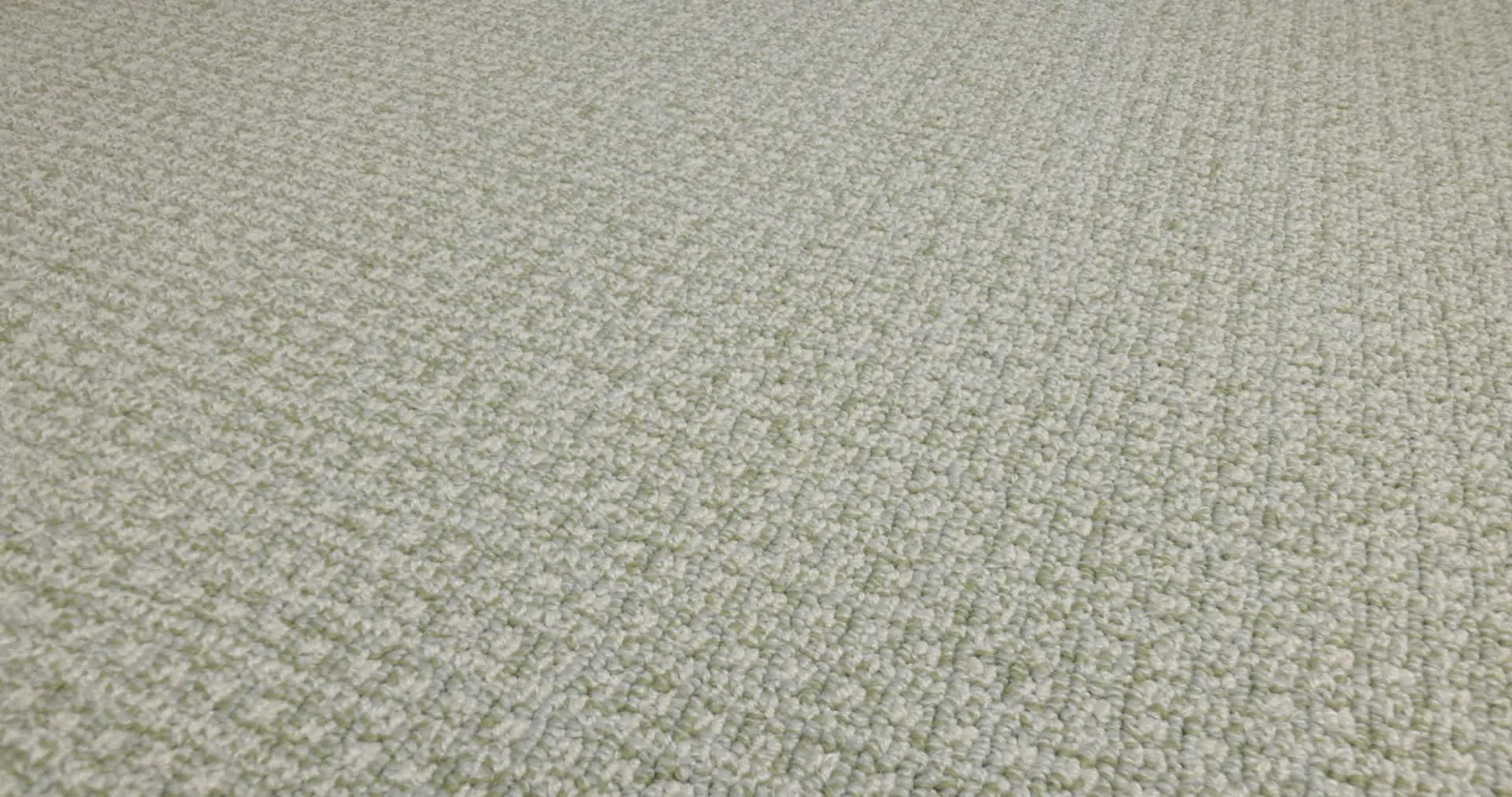 Fetch - Carpet & Rugs in Soft Fern | AndersonTuftex