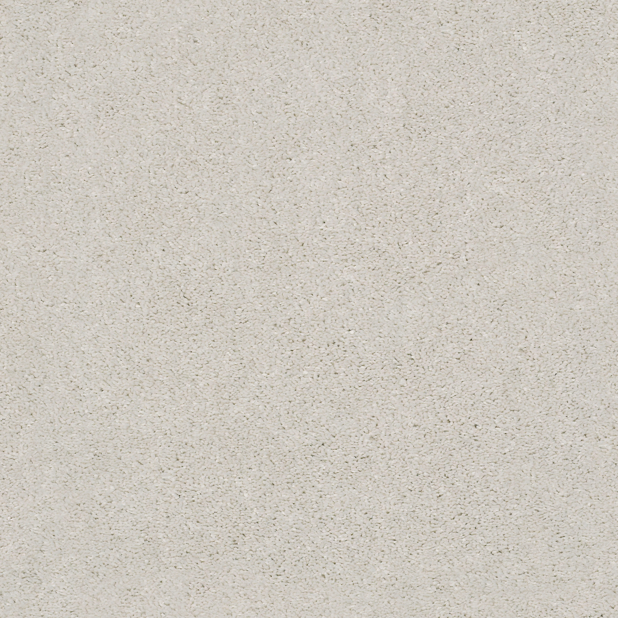 Ag Alluring - Gentle Wind Carpet | Shaw Floors