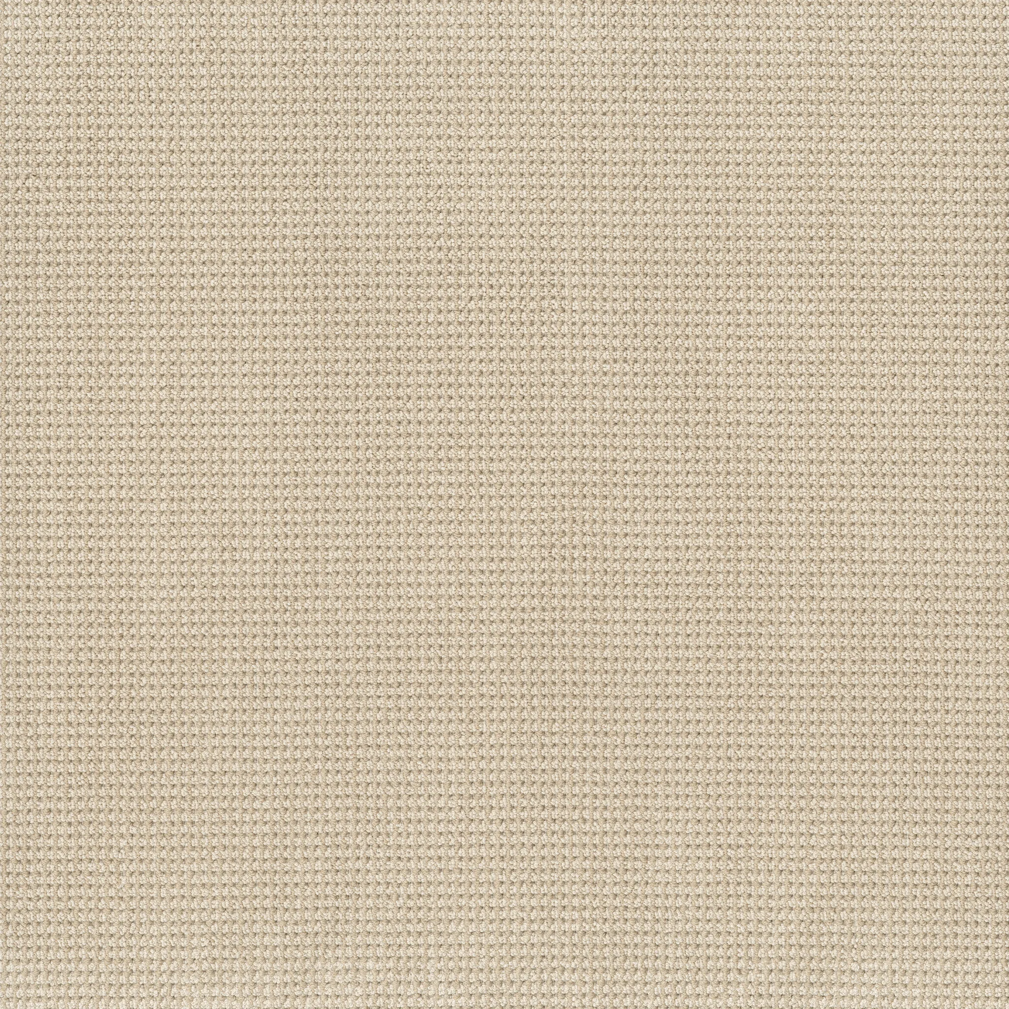 Inspired - Carpet for Stairs in Papyrus | AndersonTuftex