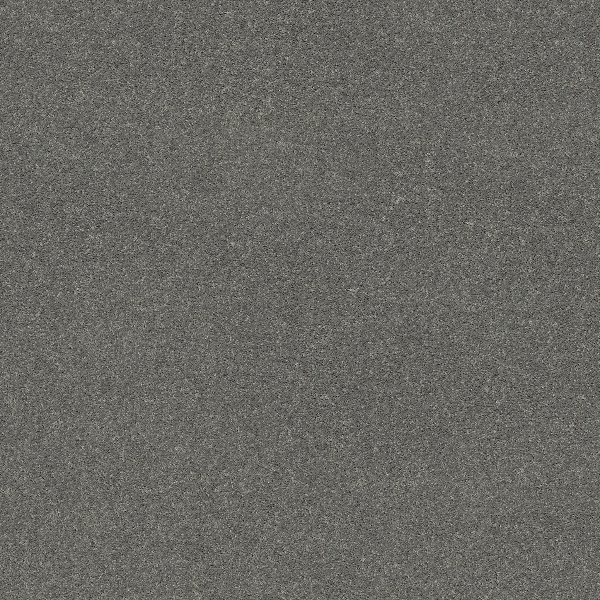 Dyersburg Classic 12' - Castle Grey Carpet | Shaw Floors