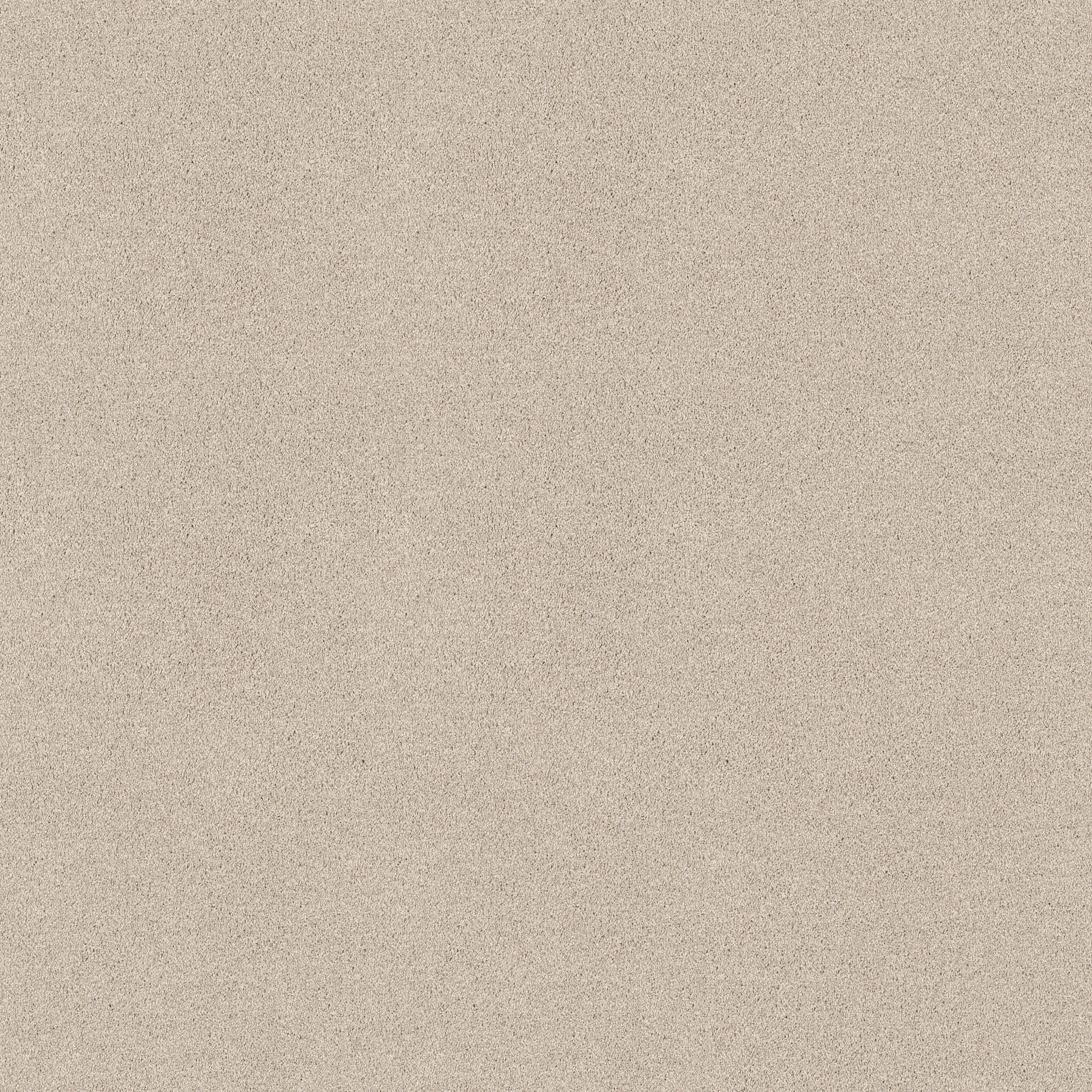 Renewal in Color: Real Palettes for Real Spaces | Shaw Floors