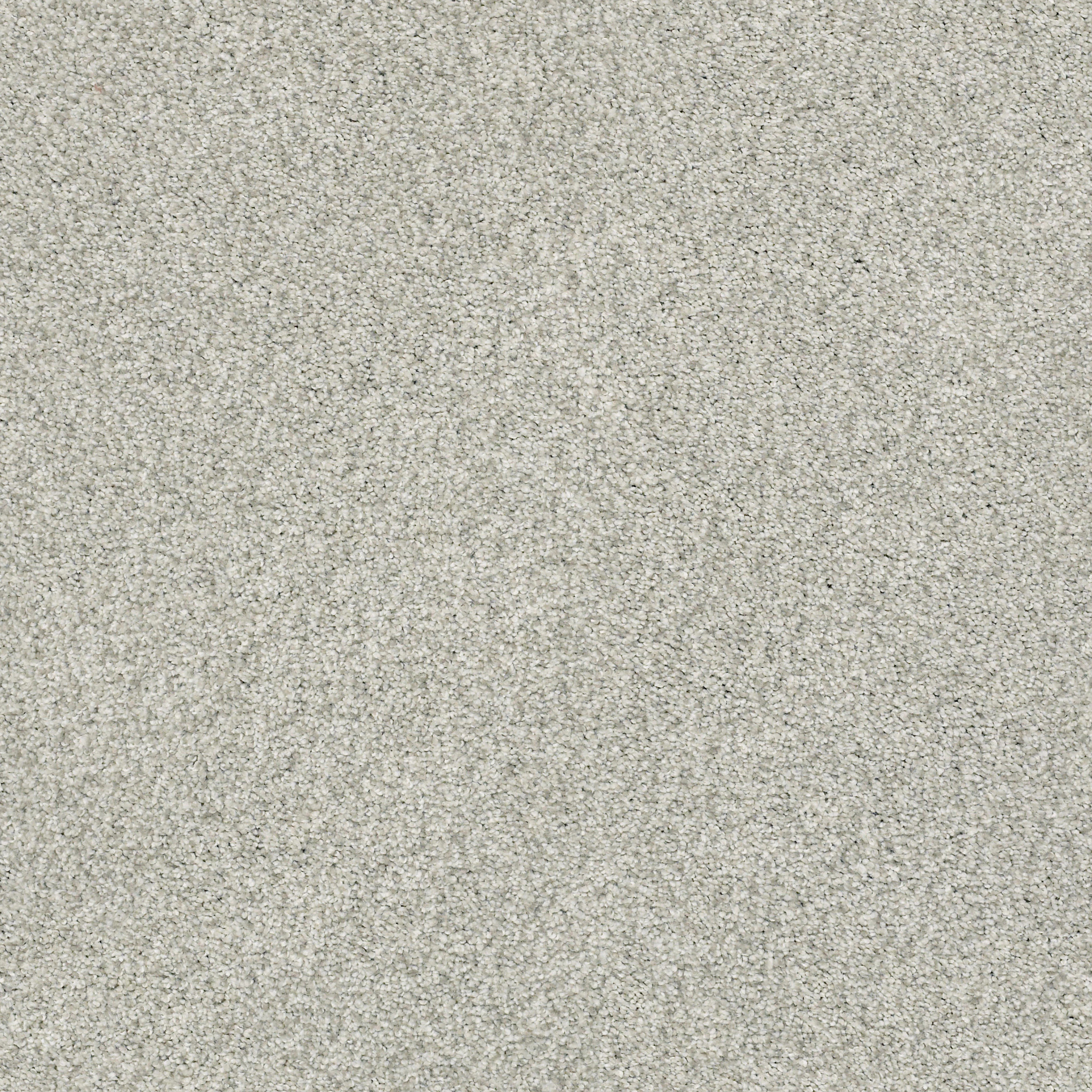 Search Results | Shaw Floors