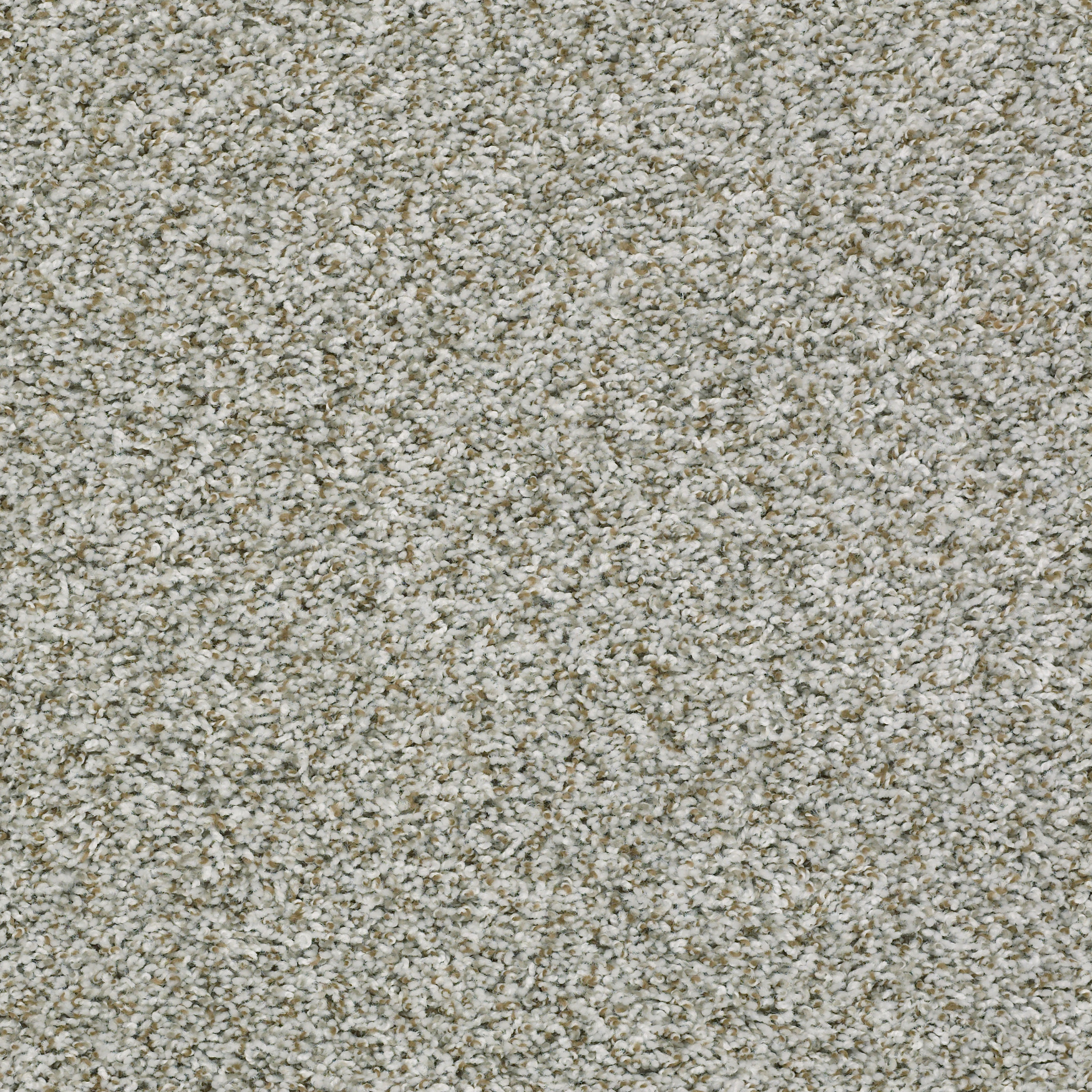 Break Away - Tonal - Chrome Carpet | Shaw Floors