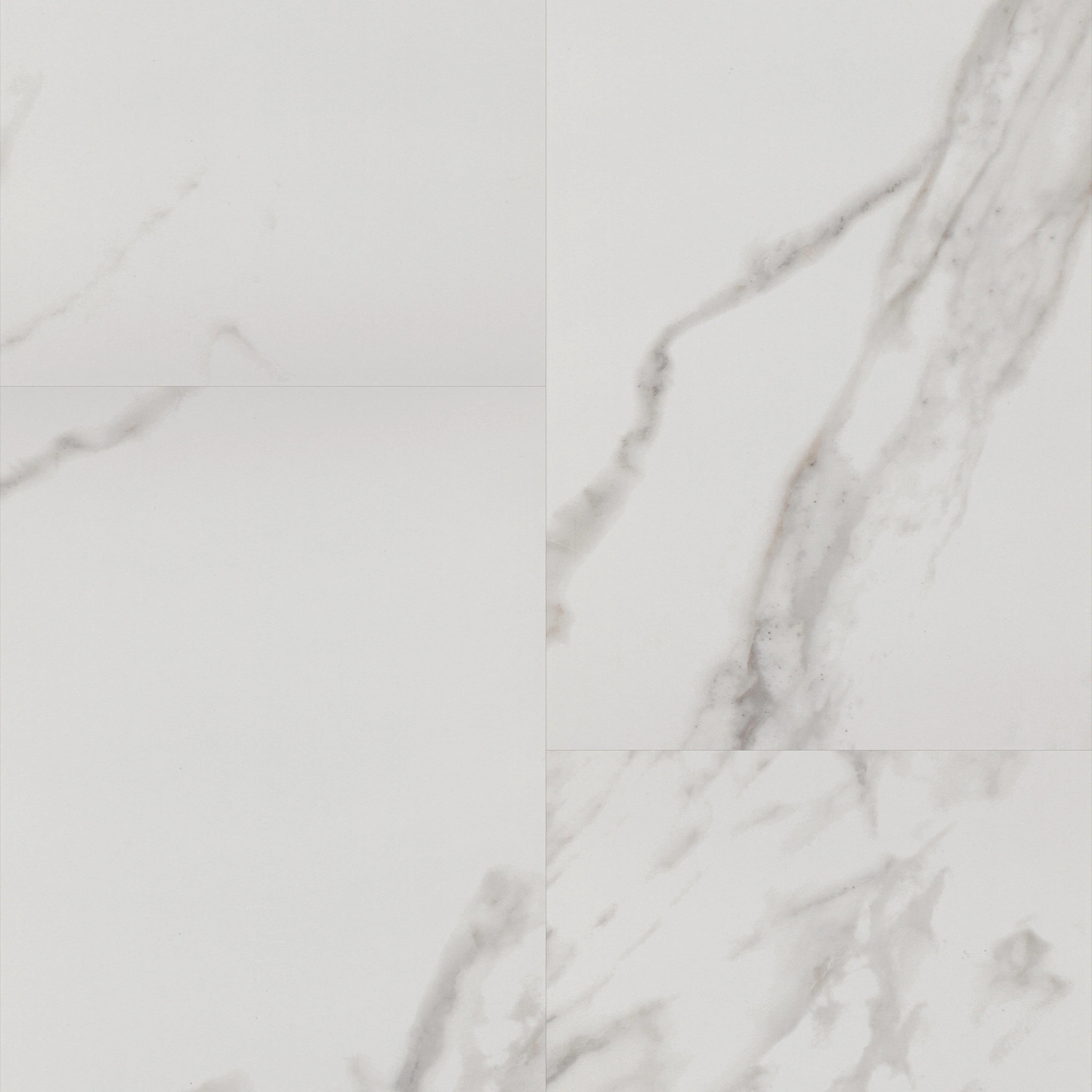 infinity 12x24 - calacatta | ceramics | tg00e-00120 | Shaw Builder Flooring