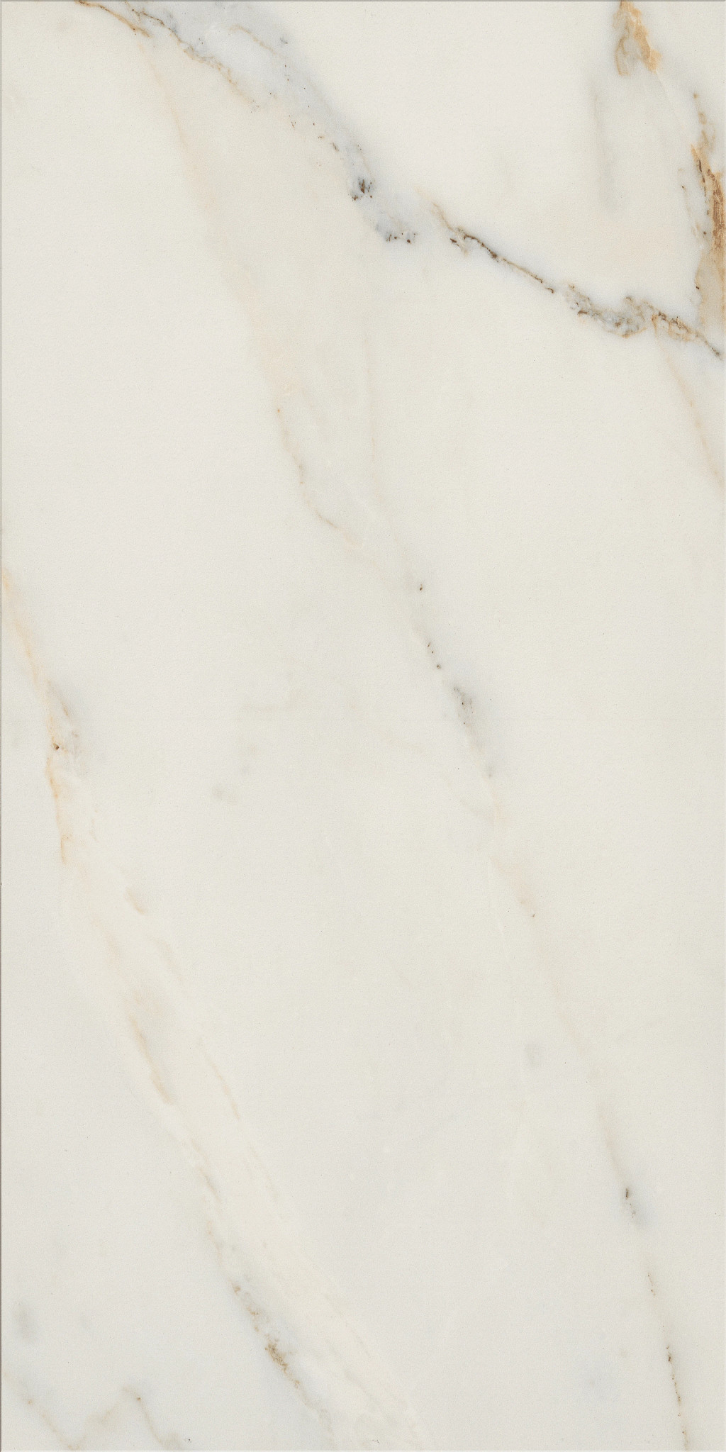 Exclusive | ShawContract