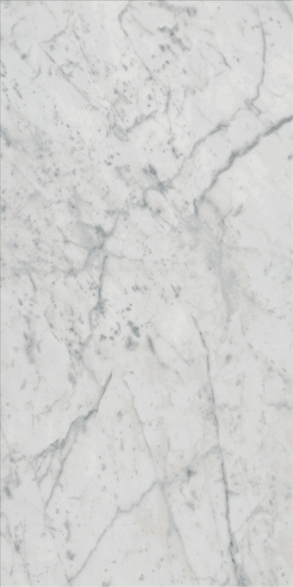 Exclusive | ShawContract