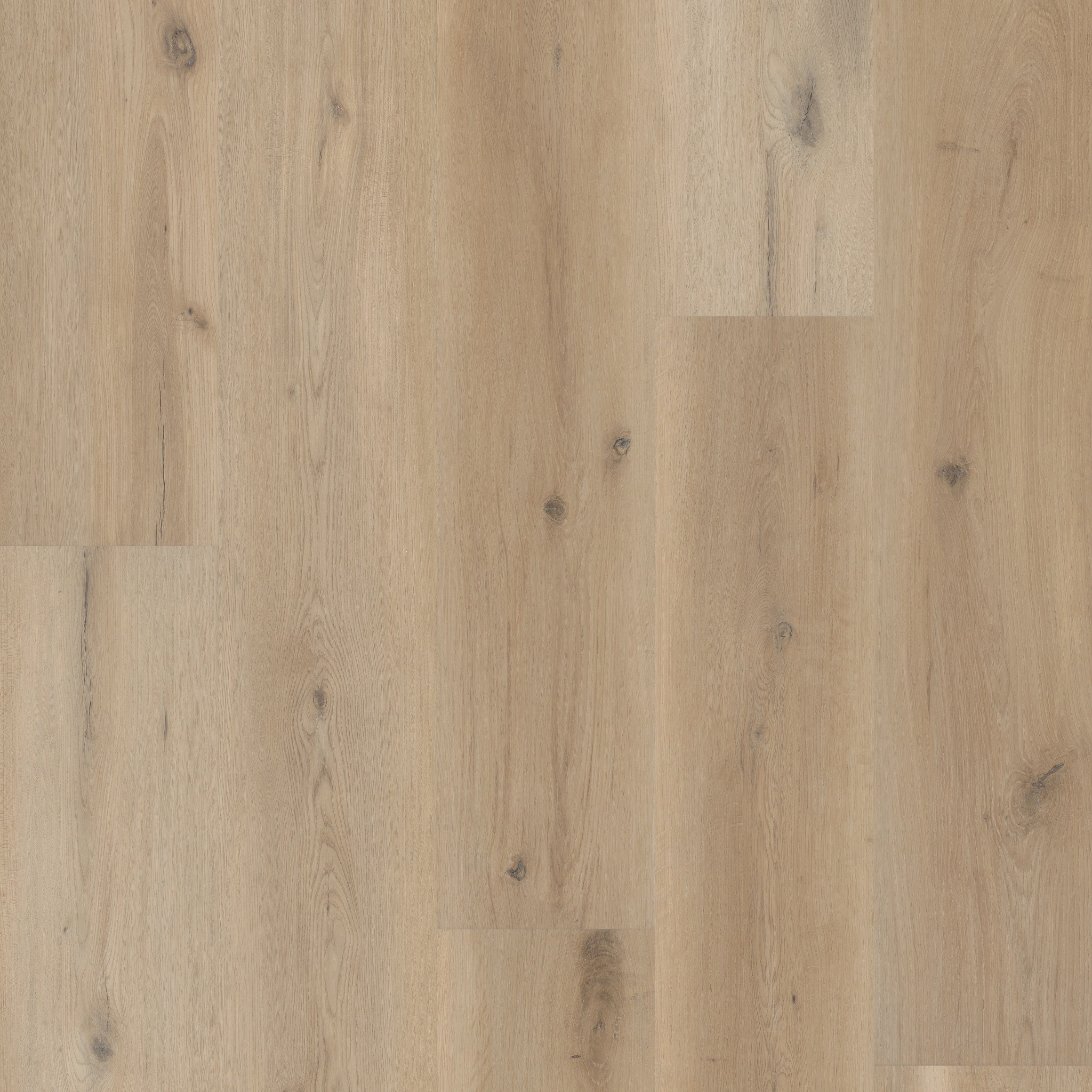 temporal - sea salt oak | resilient | 705CT_05028 | Shaw Builder Flooring