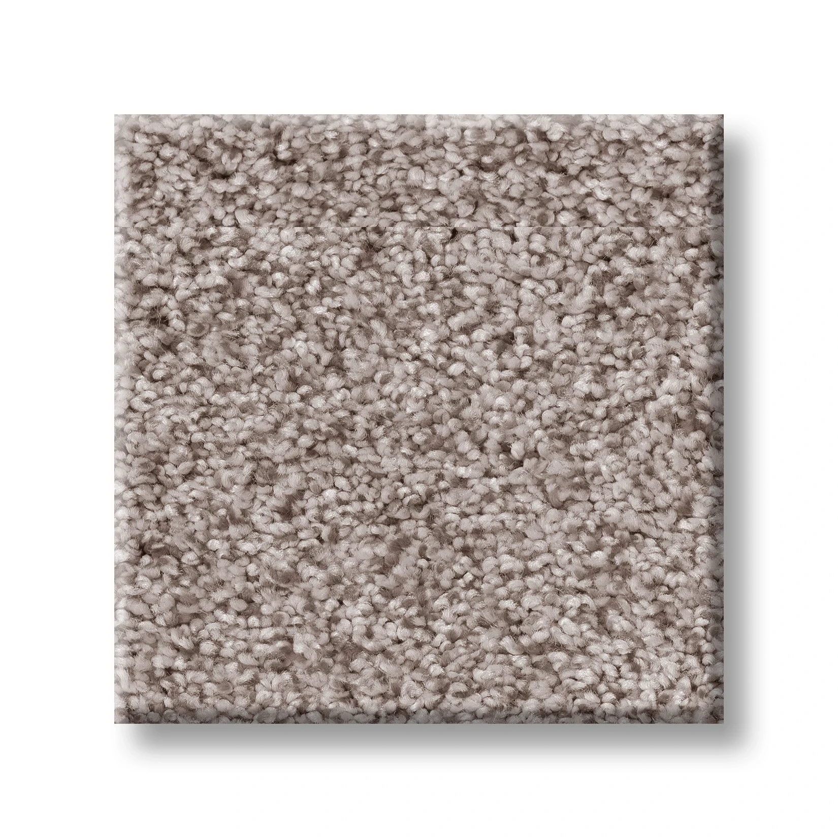 Sumptuous Ii - 100% ANSO® High Performance Nylon in Patio Stone ...