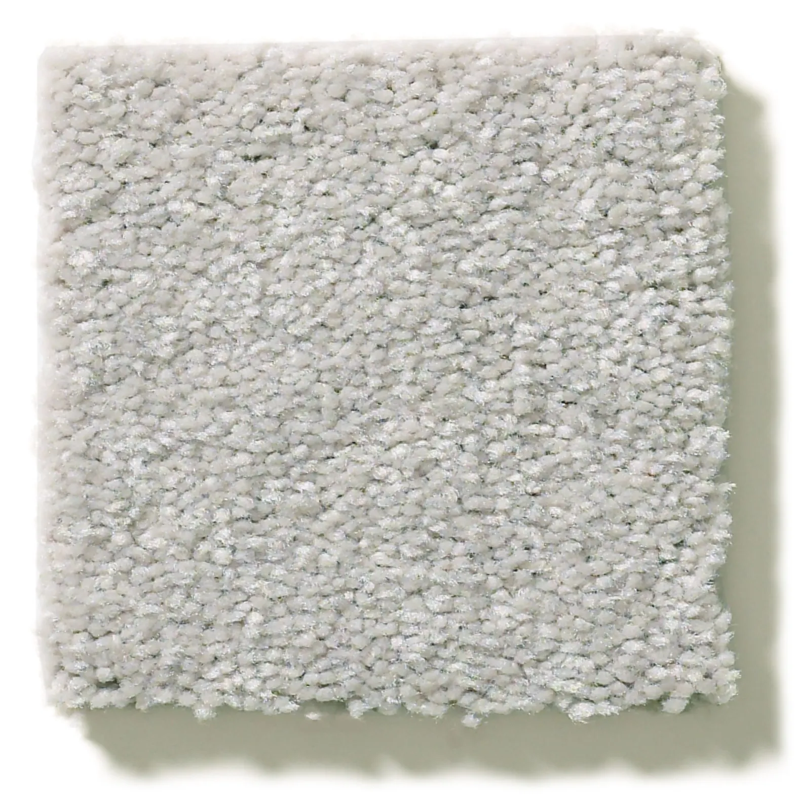 Attainable - Platinum Carpet | Shaw Floors