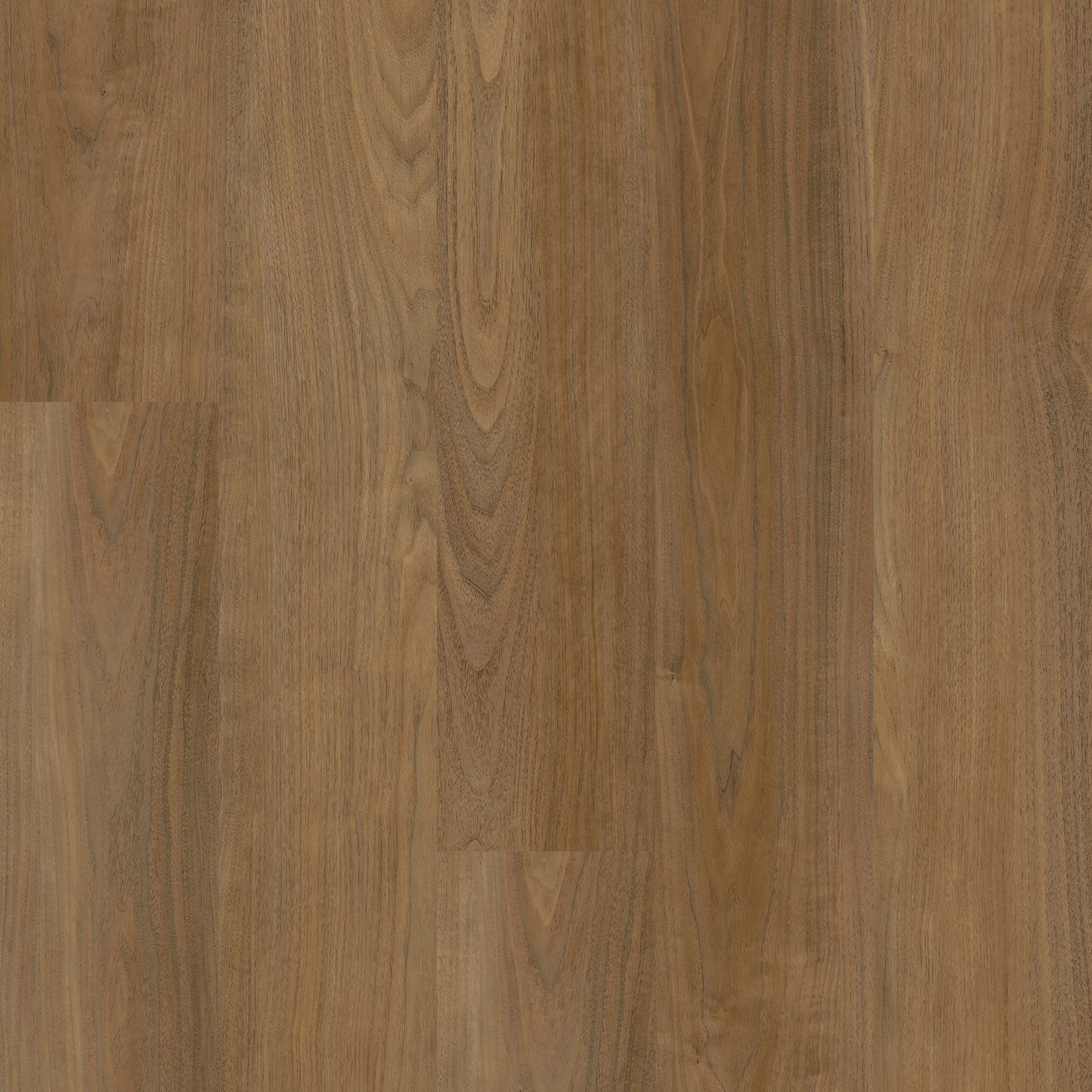 Browse by Collection