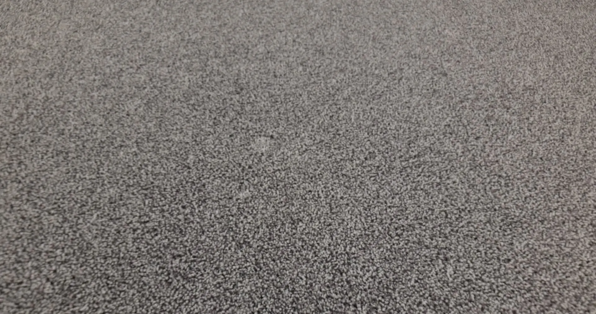 Vivid Touch Ii - Graphic Carpet | Shaw Floors