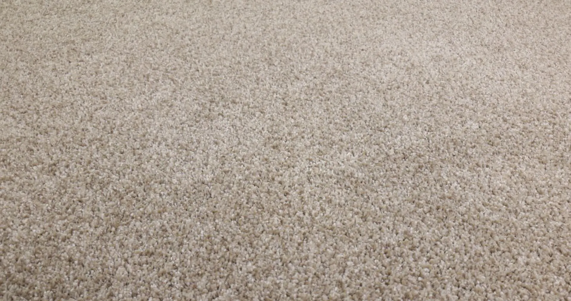 Elevated I - Soft Sand Carpet | Shaw Floors