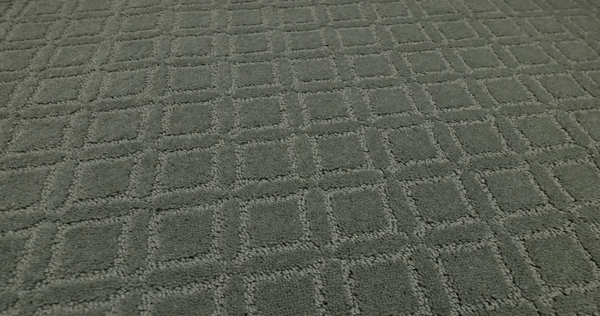 Muse - 100% Nylon in Wonder | AndersonTuftex