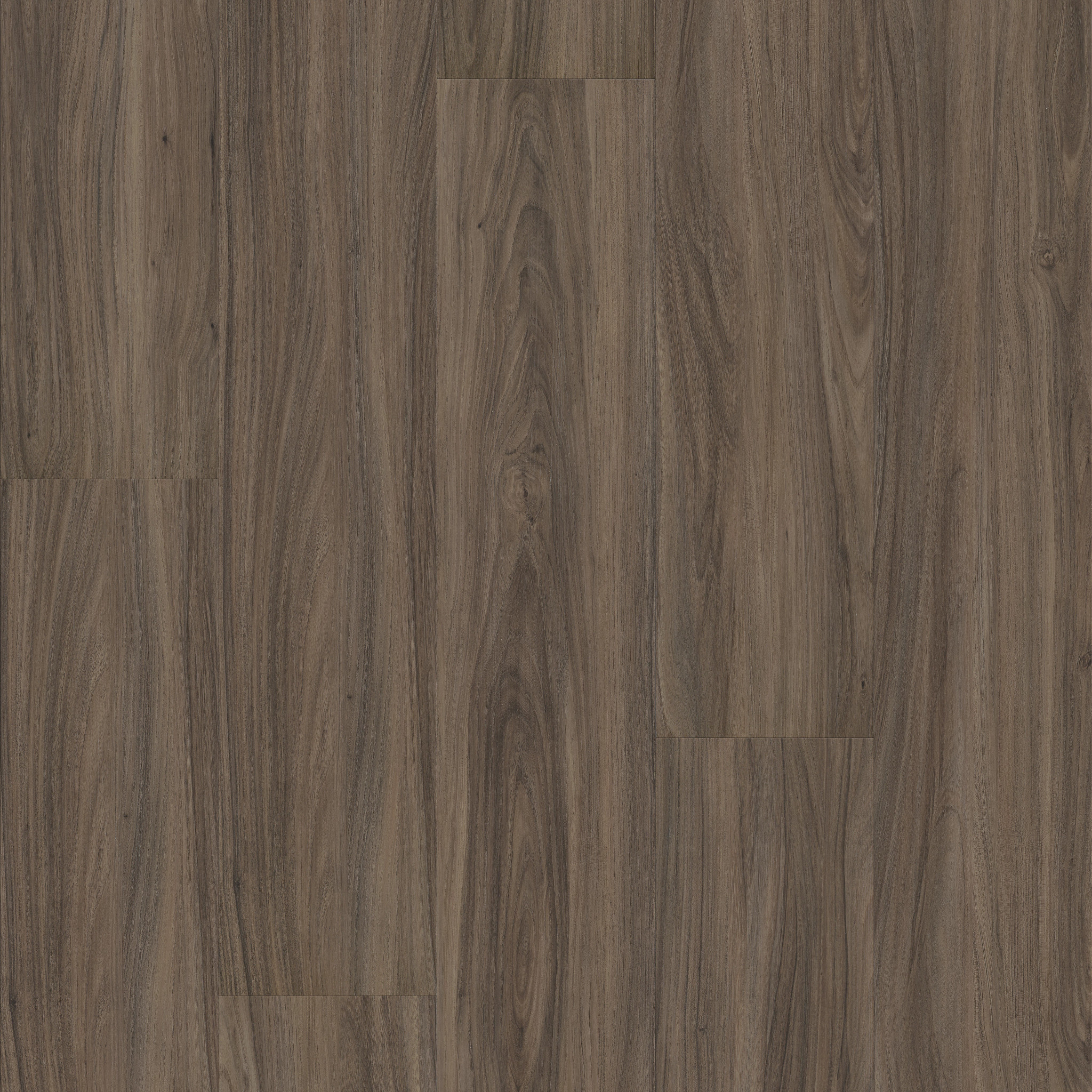 optimum 512c plus - wild dunes | resilient | VE210-07089 | Shaw Builder ...