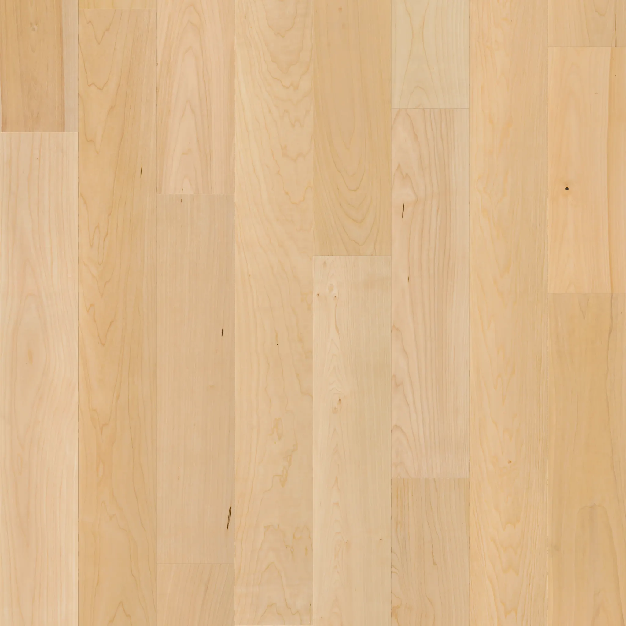 Natural Classics Hard Maple 5" - in color Natural Hard Maple | Shaw Floors